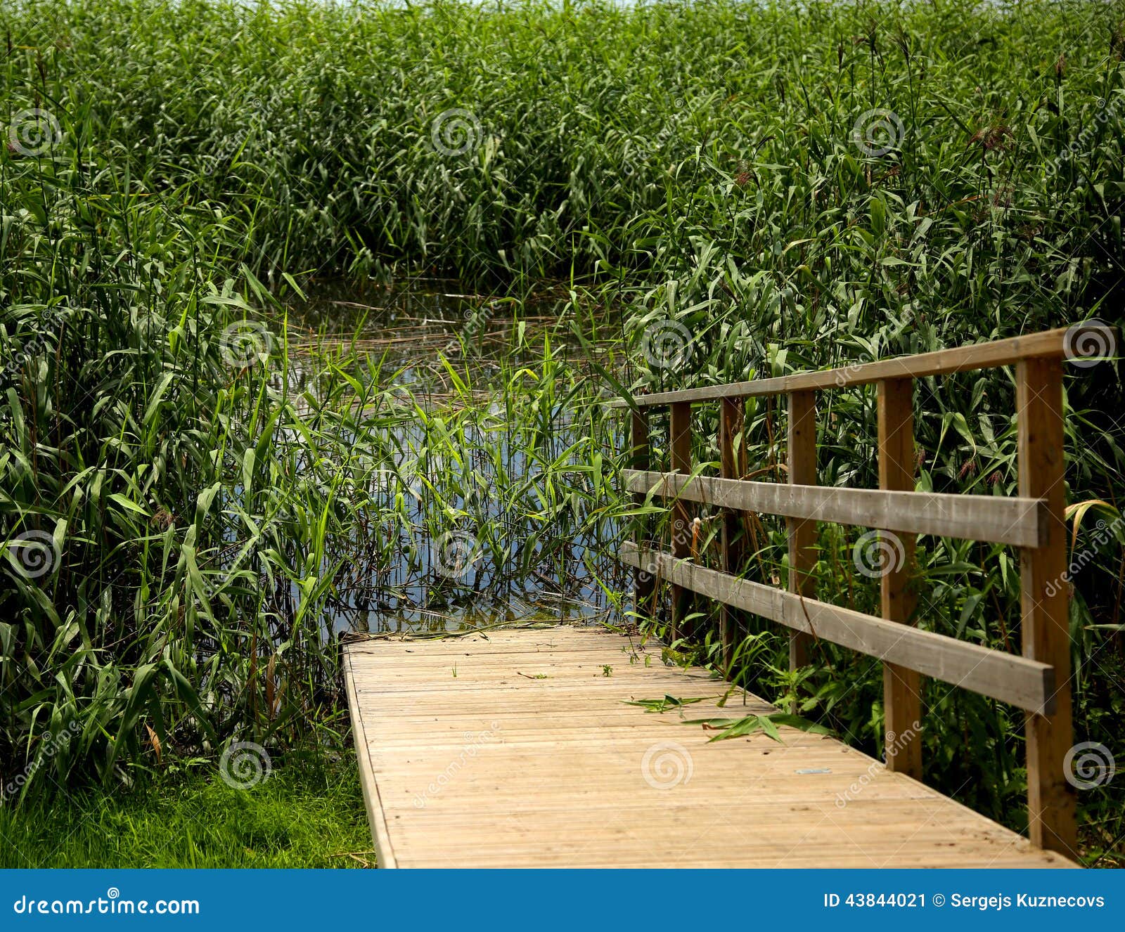 Access to water stock image. Image of ramp, coast, relax - 43844021