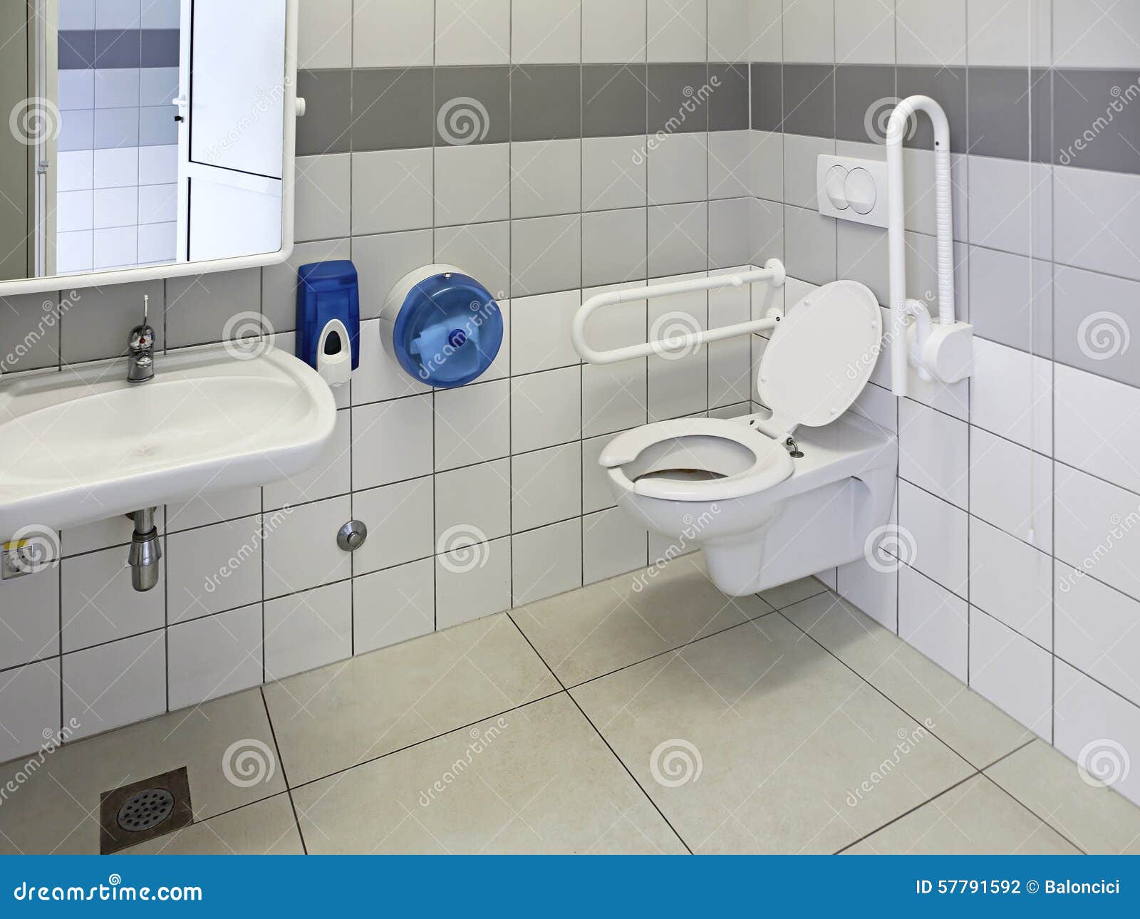 Accessible Toilet stock photo. Image of disabled, accessible - 57791592