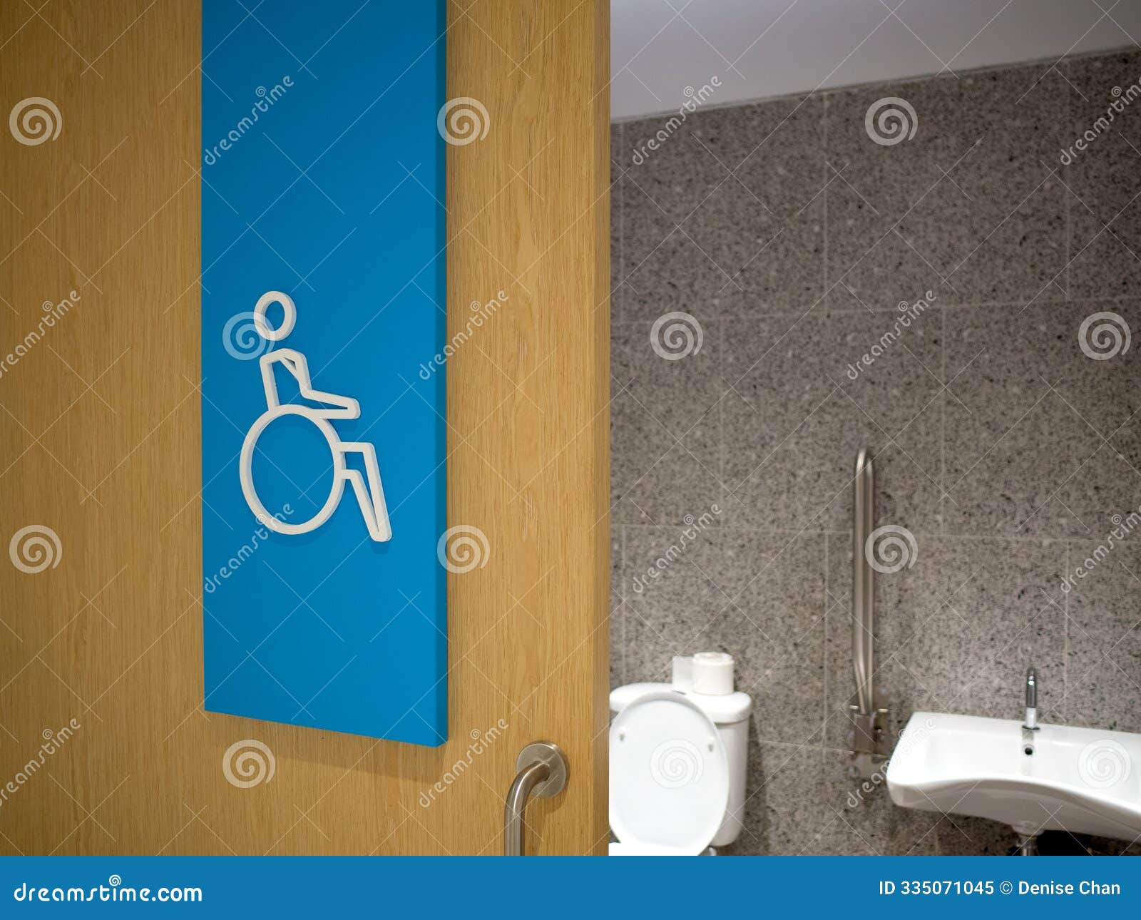 Accessible Washroom with Grab Bars, Spacious Layout, and Safety ...