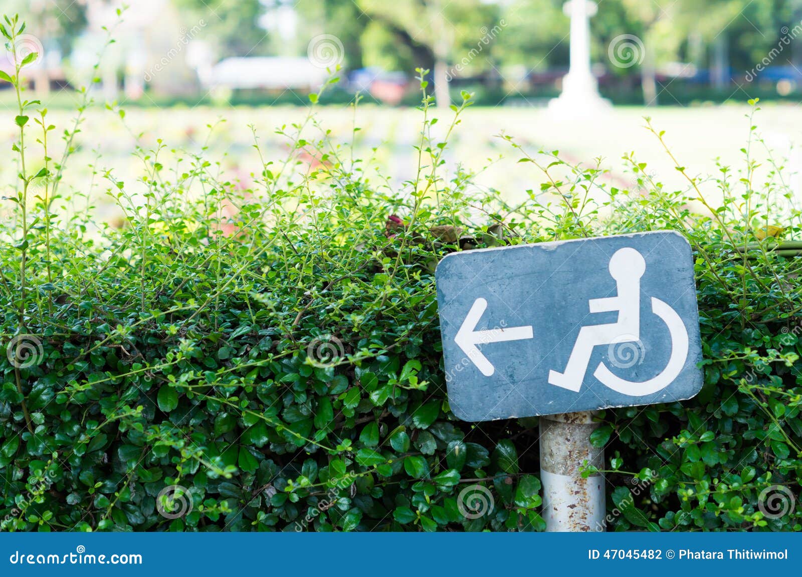 Accessible Way Sign stock photo. Image of accessibility - 47045482