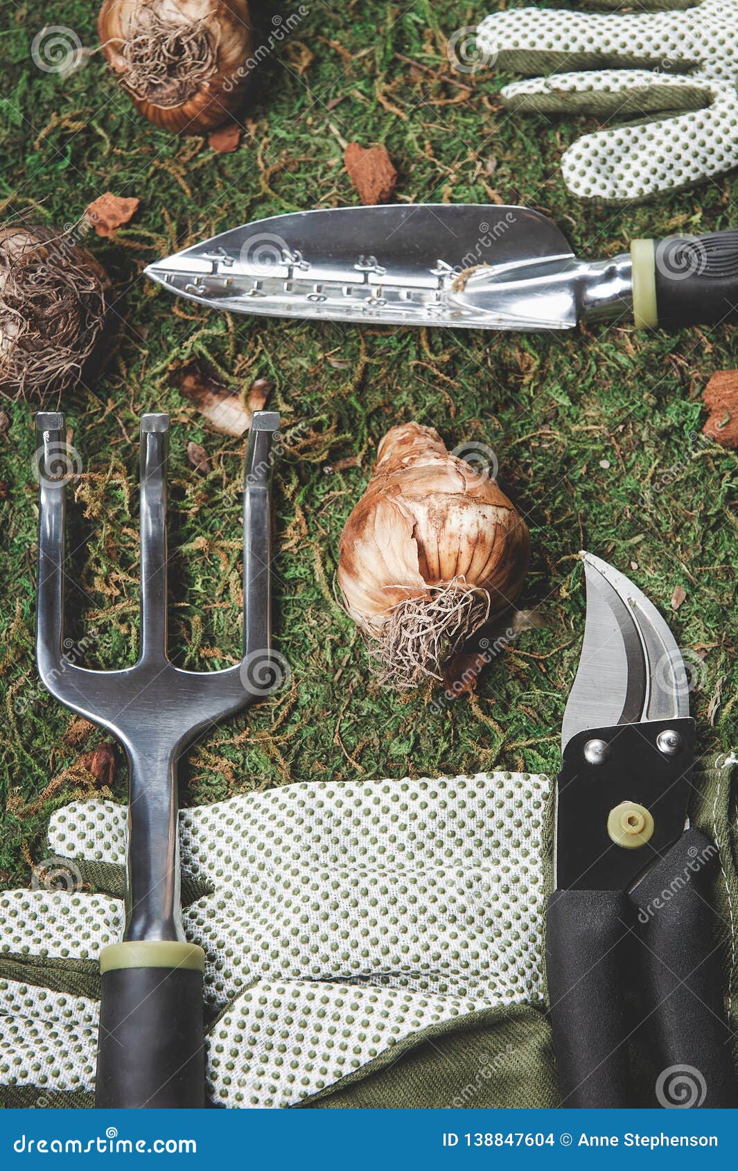 Assorted Hand Tools for Gardening Including Trowel, Hand Rake, Pruner ...