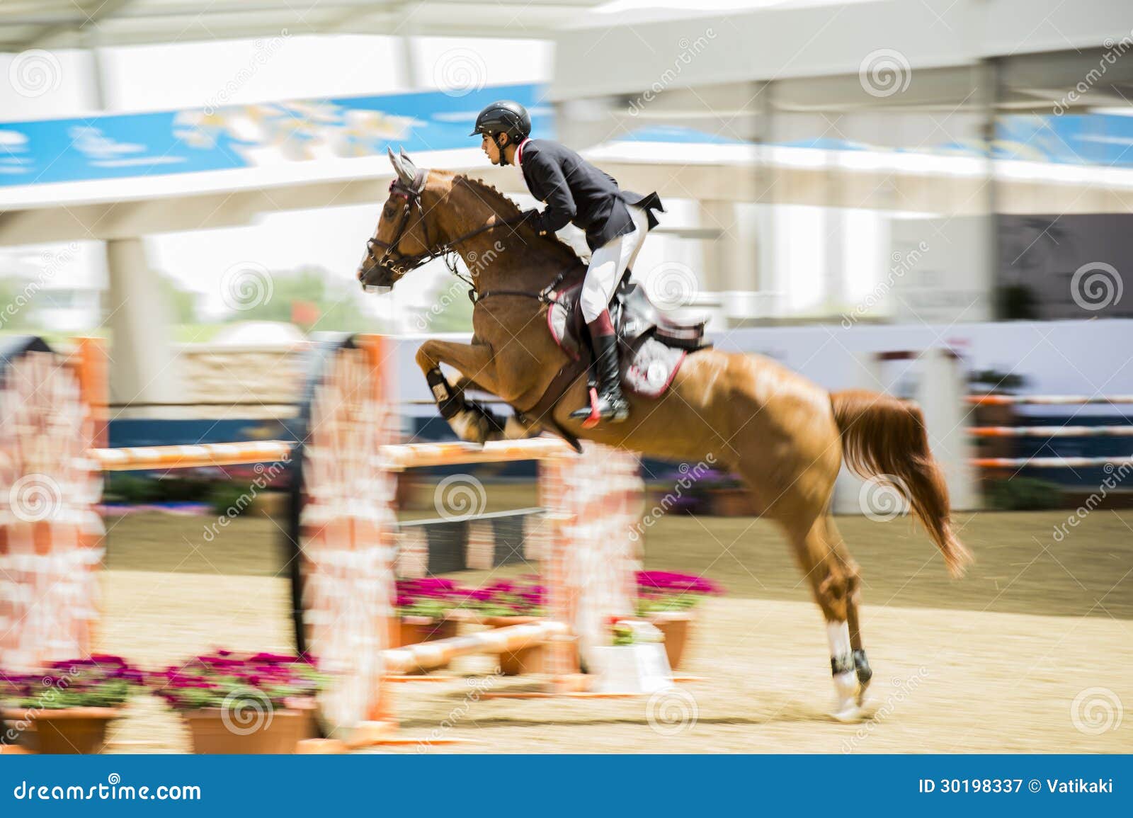 Acción De La JI Al Shaqab 2013 Fotografía editorial - Imagen de katar ...