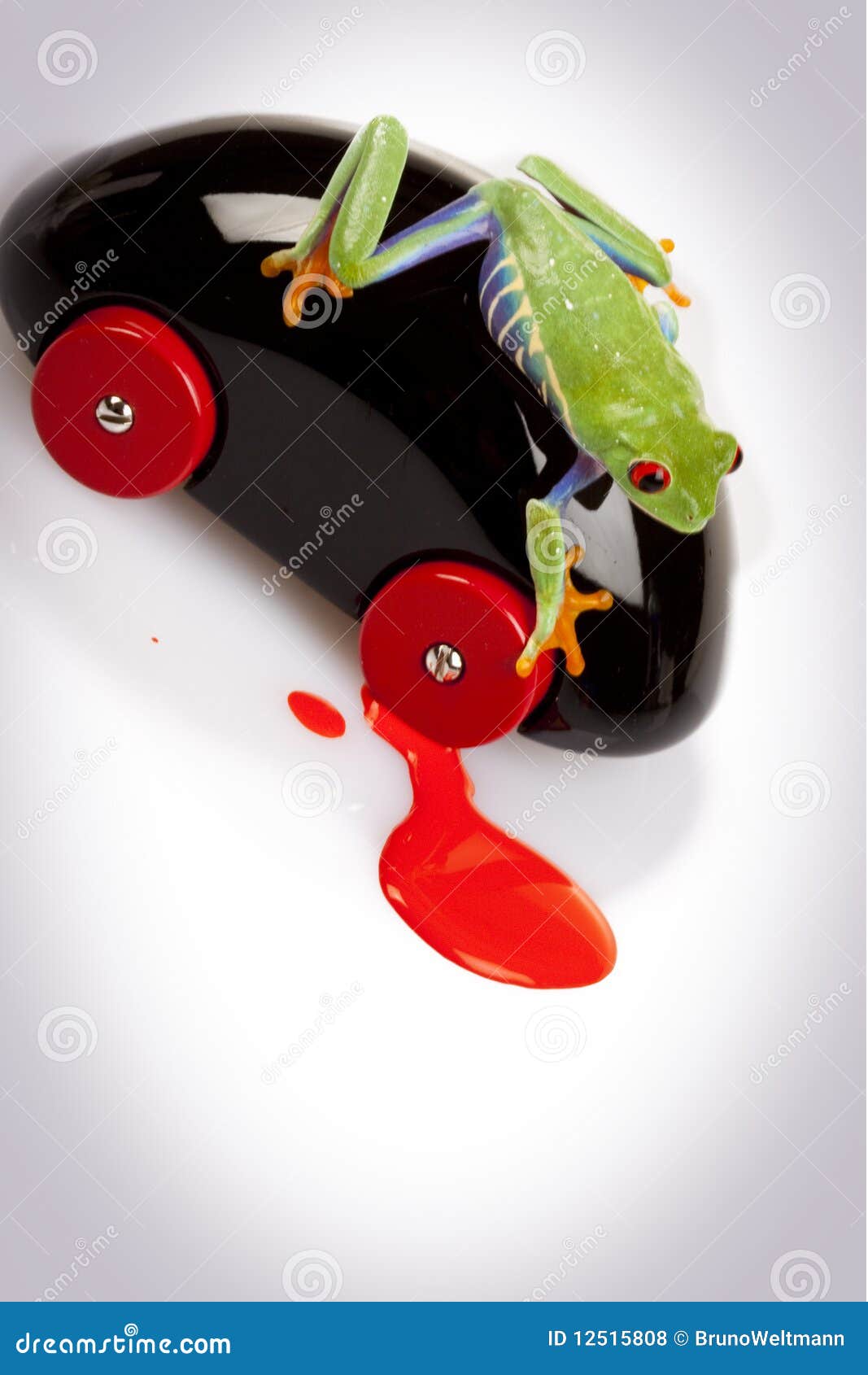 Accident! stock photo. Image of frog, crazy, colours - 12515808