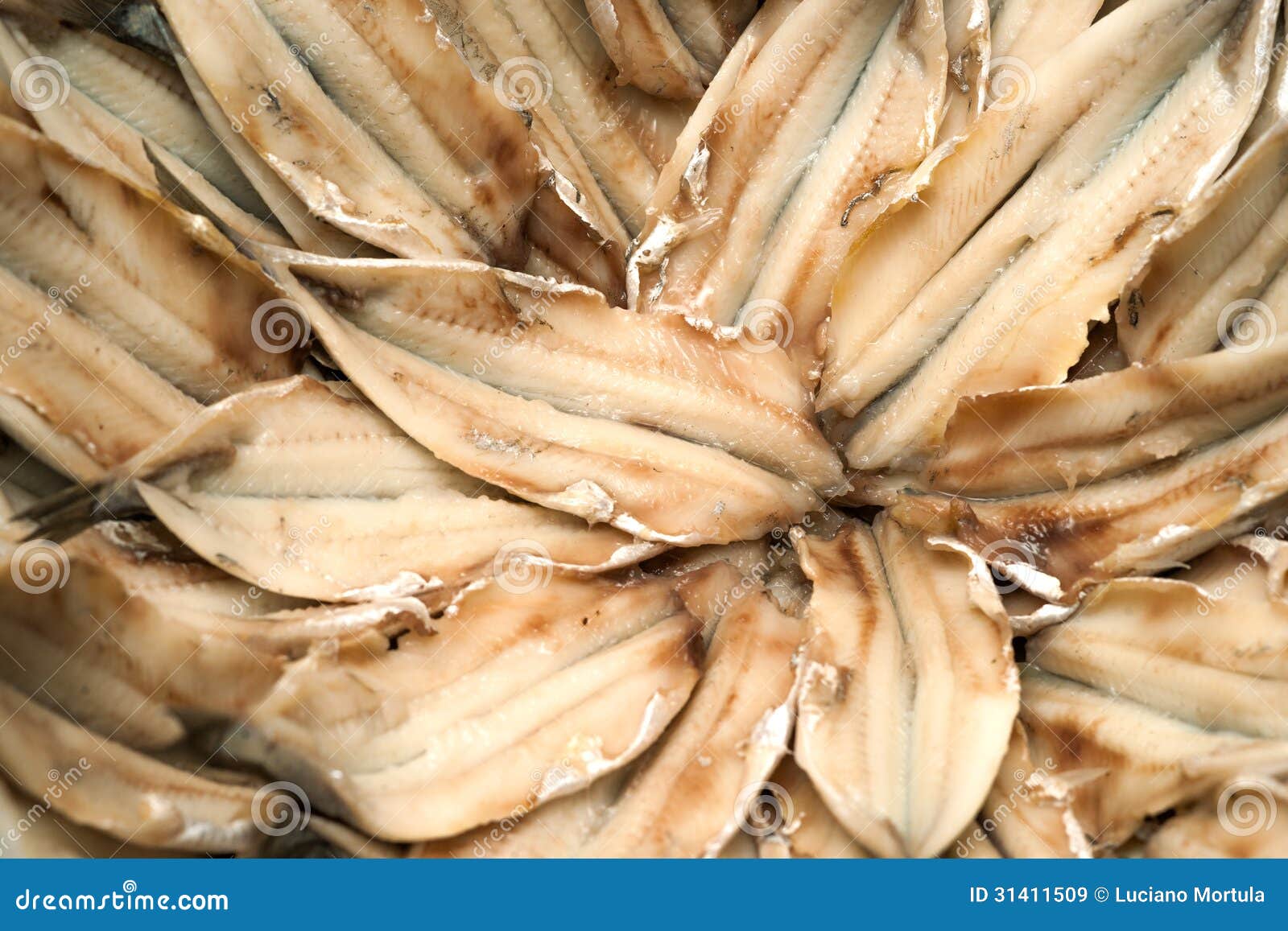 Acciuga immagine stock. Immagine di mazzo, nutrizione - 31411509