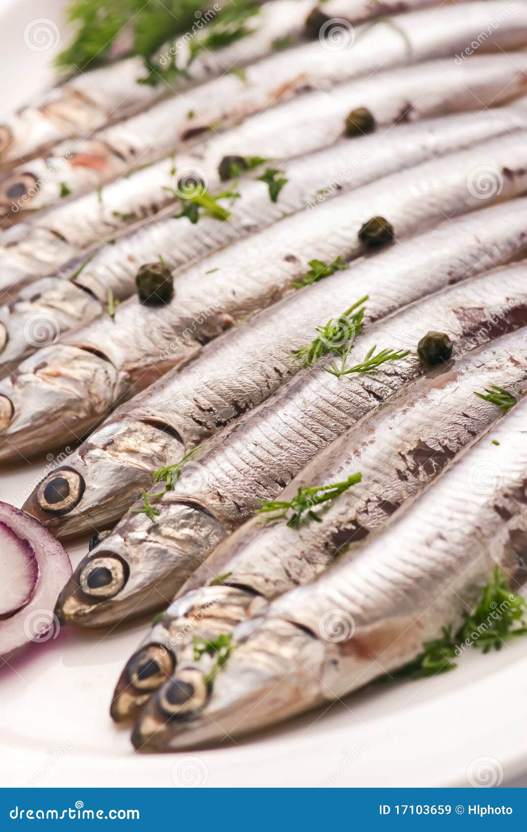 Acciuga con le erbe immagine stock. Immagine di occhio - 17103659