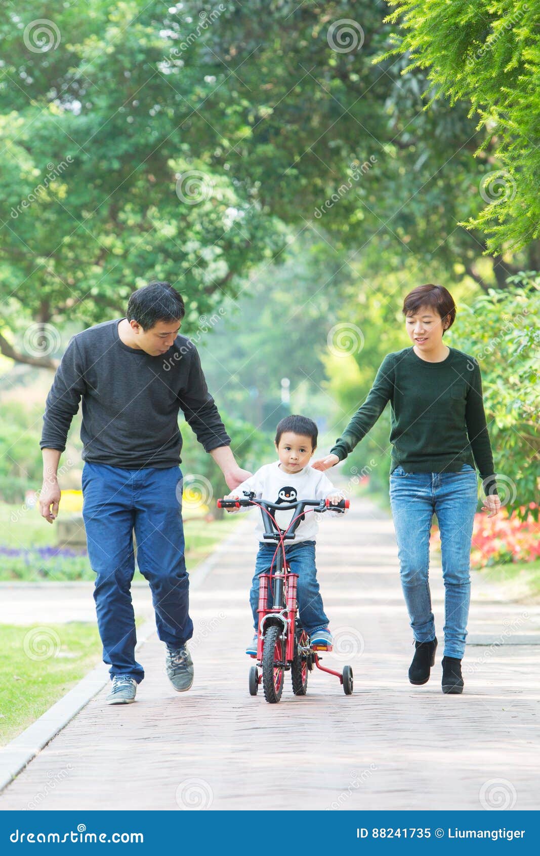 Accompany stock image. Image of bicycle, help, assist - 88241735