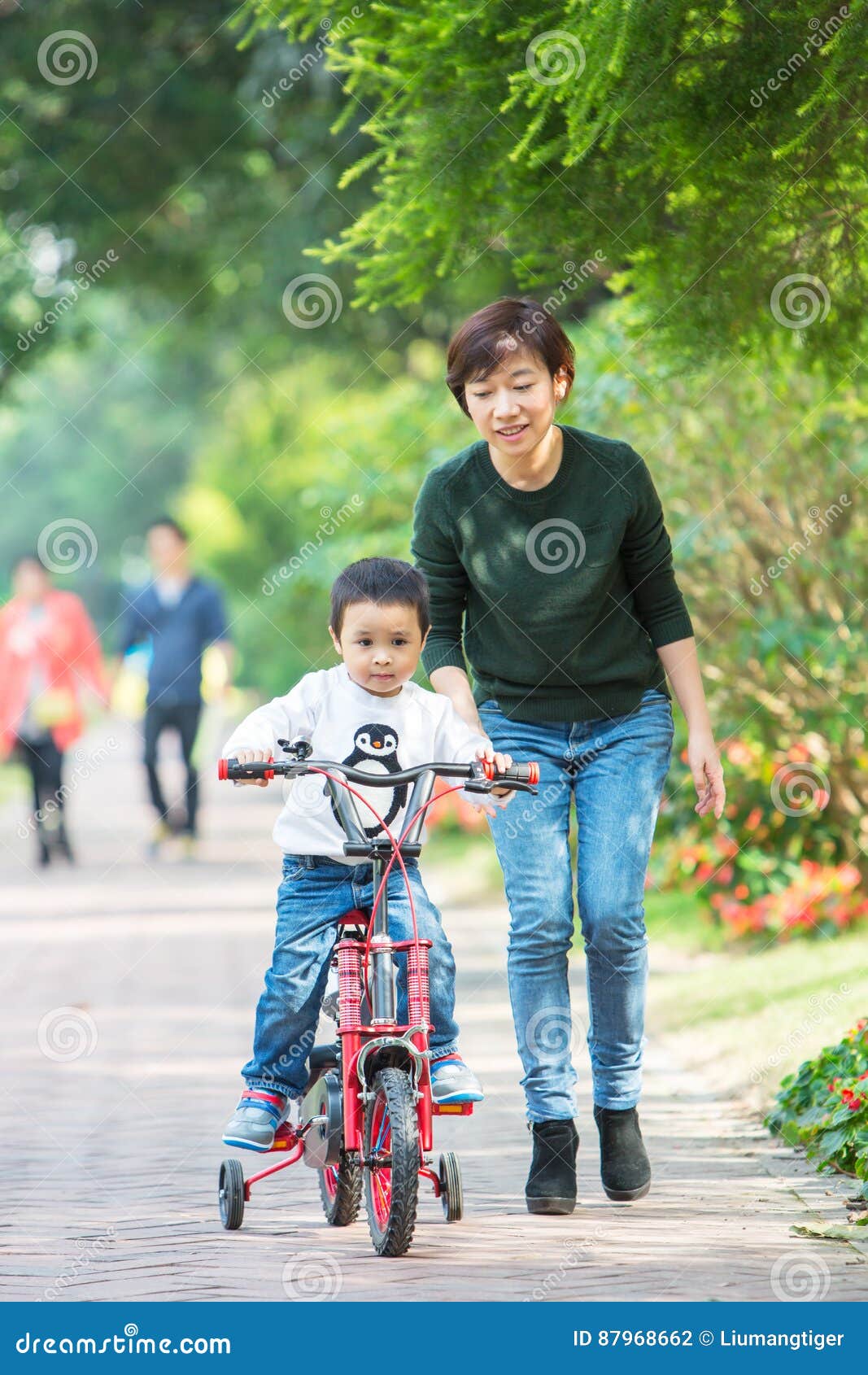Accompany stock photo. Image of mother, companion, bike - 87968662