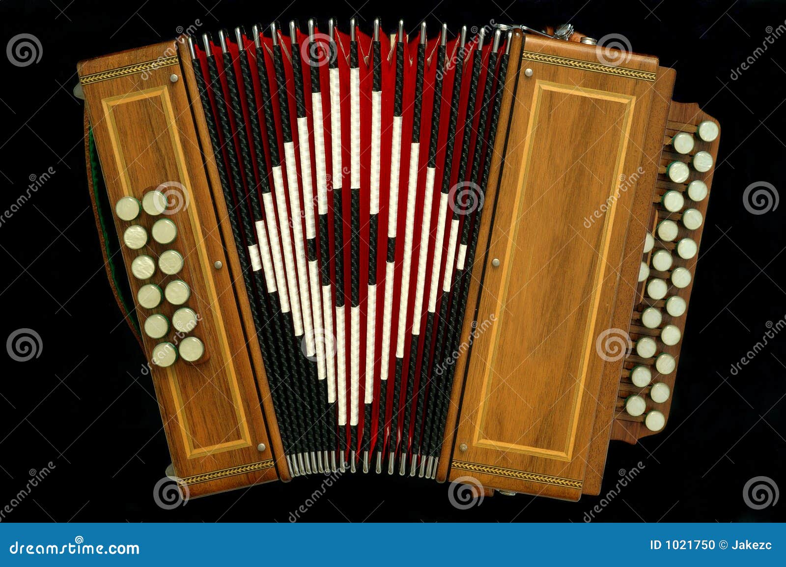 Accordion stock photo. Image of creativity, button, close - 1021750