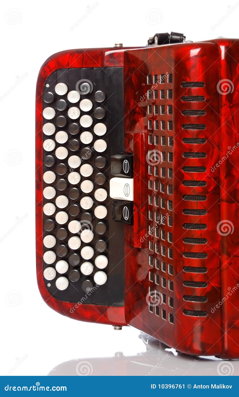 Accordion stock image. Image of musician, folk, sound - 10396761