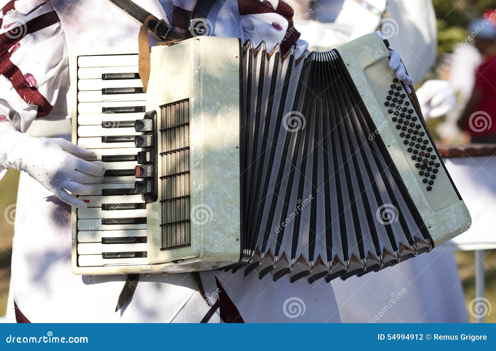 Accordion stock photo. Image of harmonica, traditional - 54994912