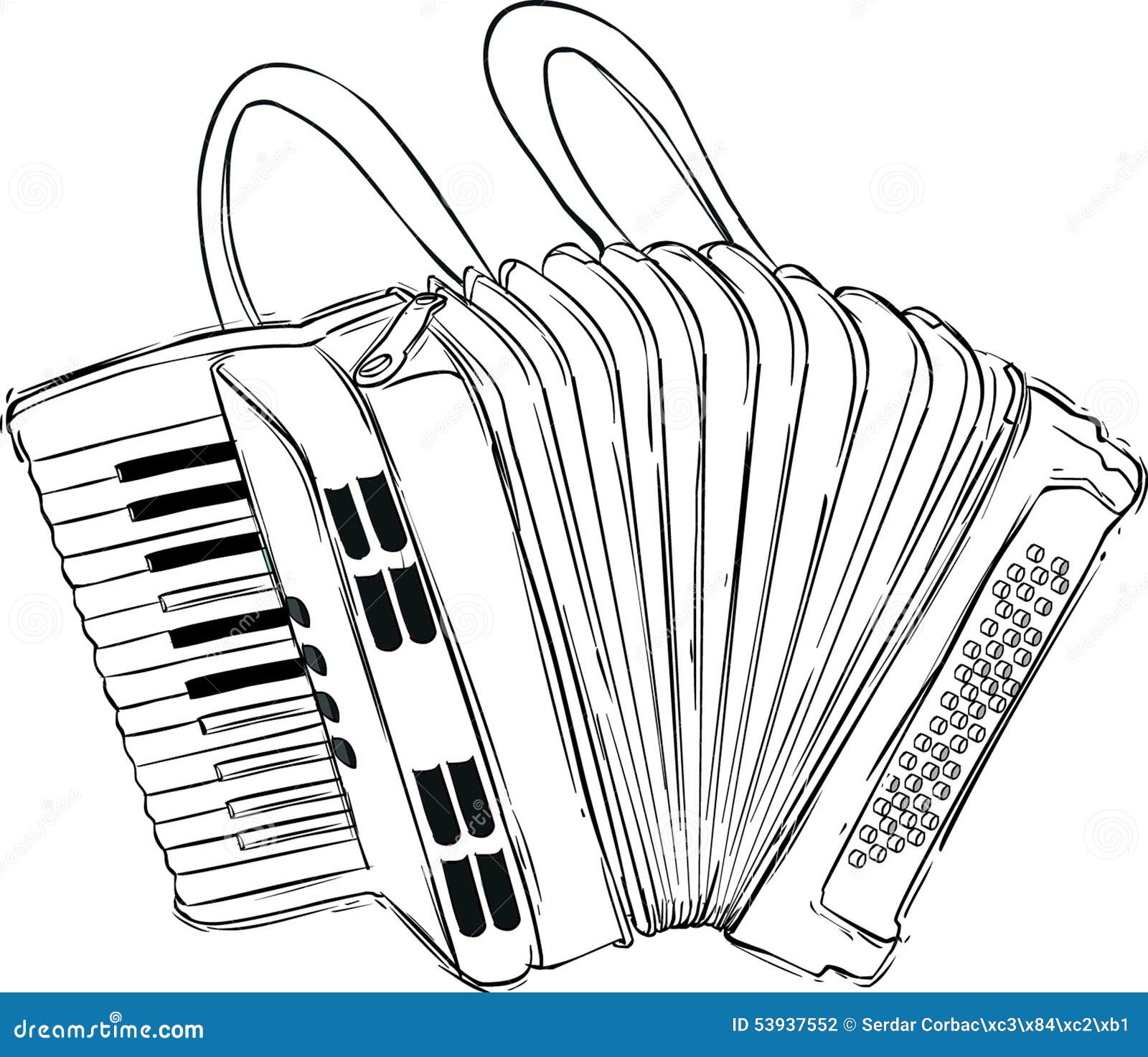 Accordion Illustration, Drawing, Engraving, Ink, Line Art, Vector ...