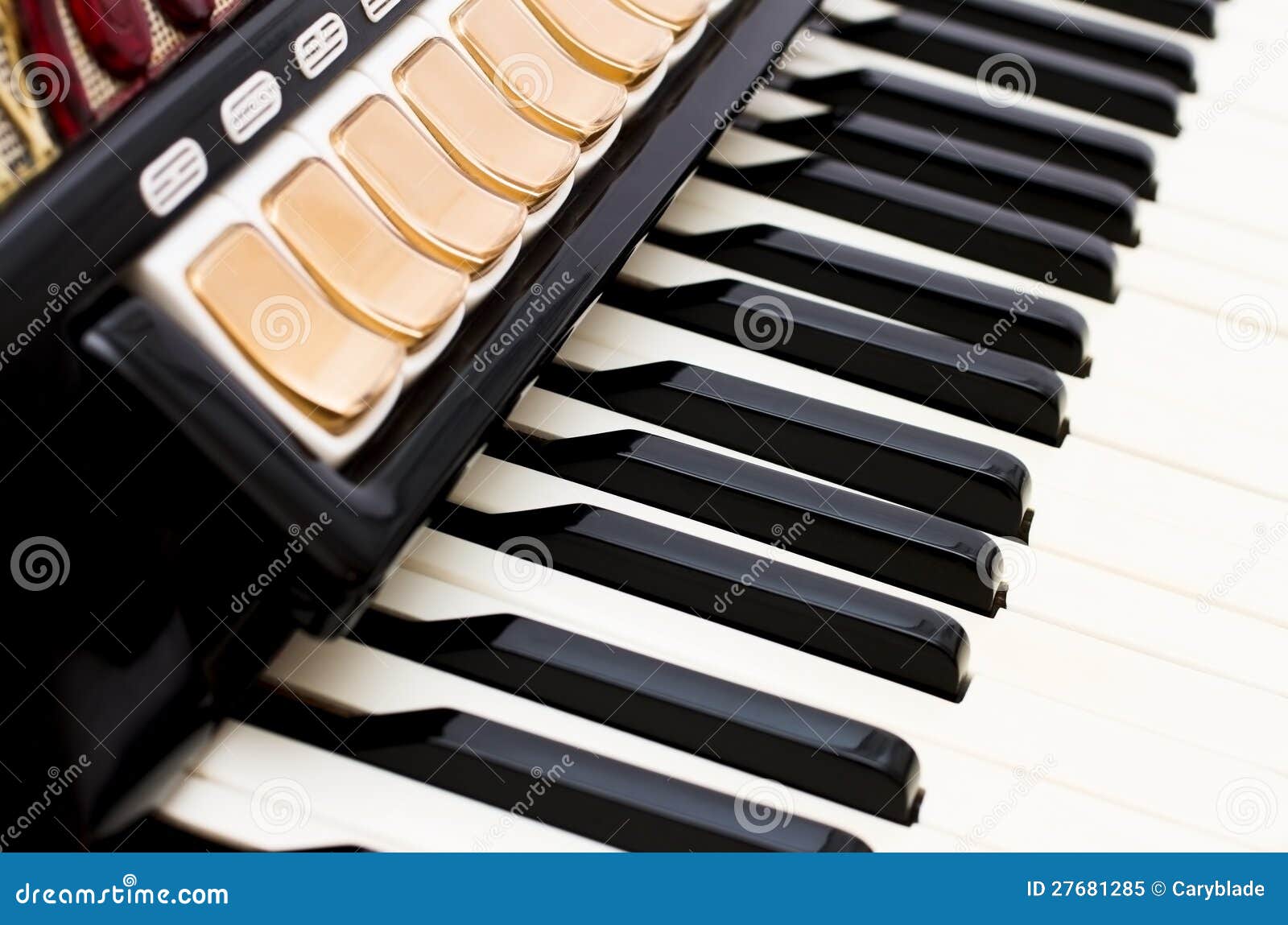 Accordion Keyboard stock image. Image of antique, keys - 27681285