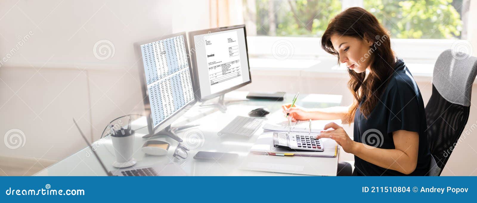 14,269 Accountant Computer Using Stock Photos - Free & Royalty-Free ...