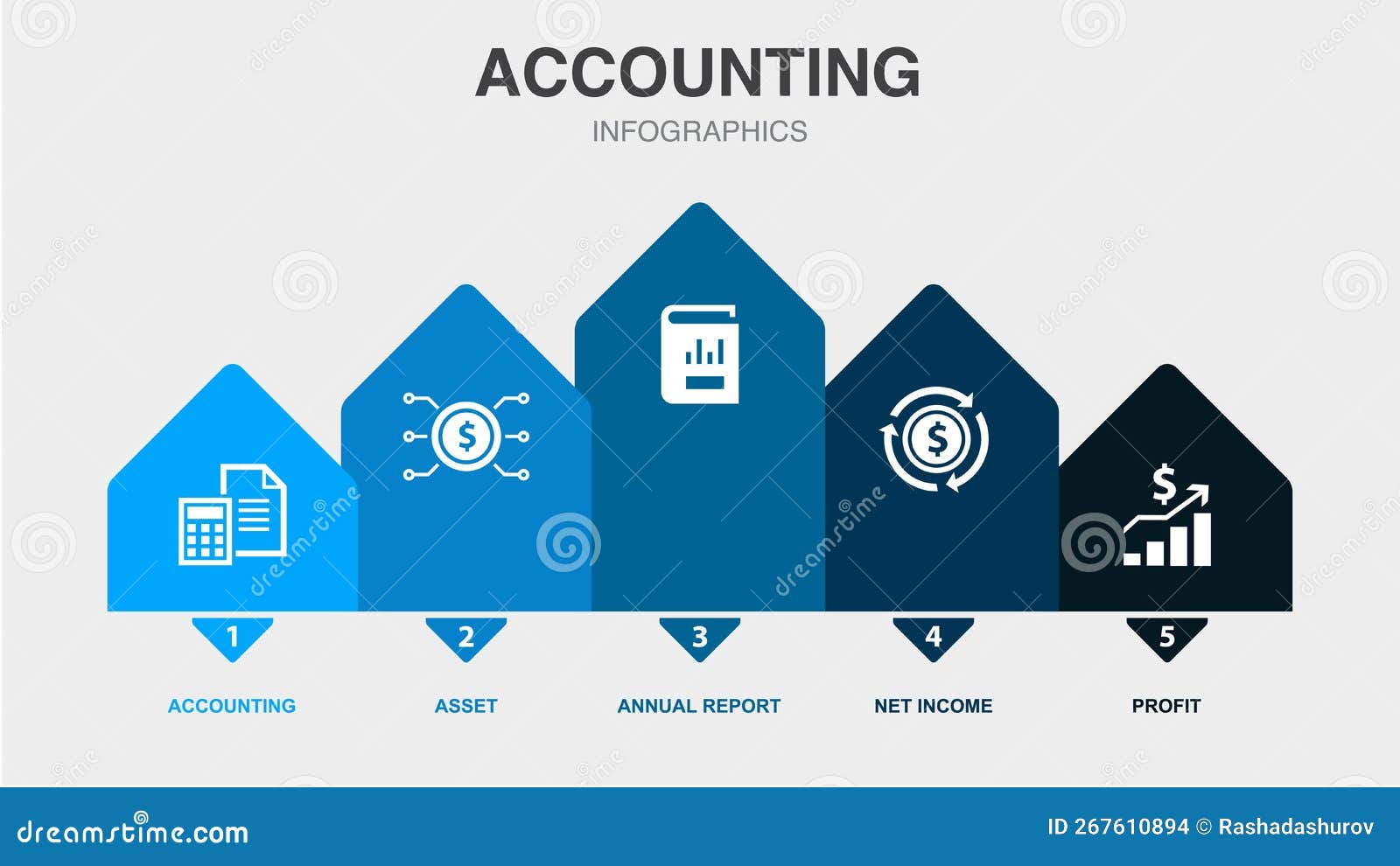 Accounting, Asset, Annual Report, Net Stock Vector - Illustration of ... Accounting, Asset, Annual Report, Net Stock Vector - Illustration of ...