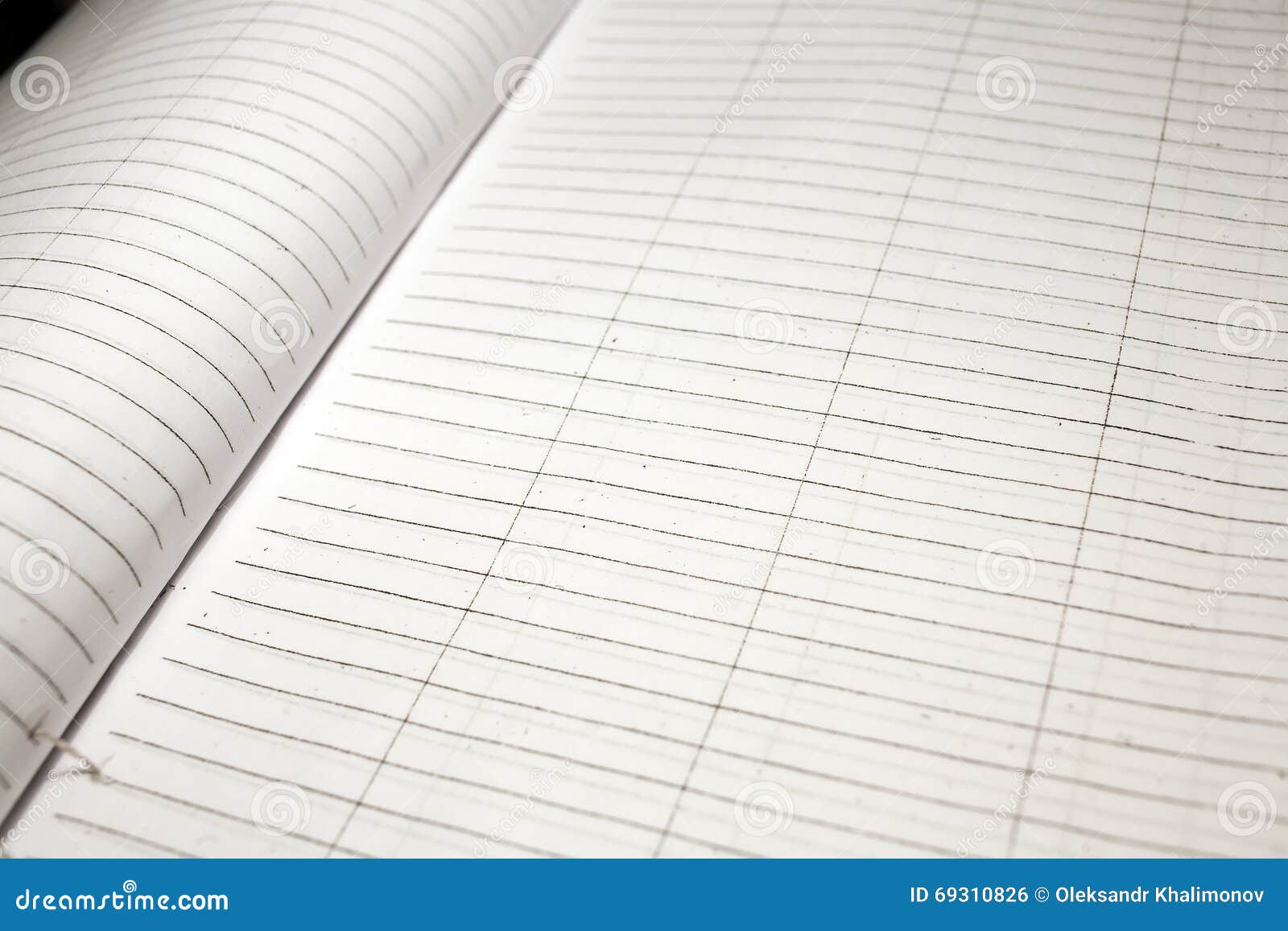 Accounting Journal Paper