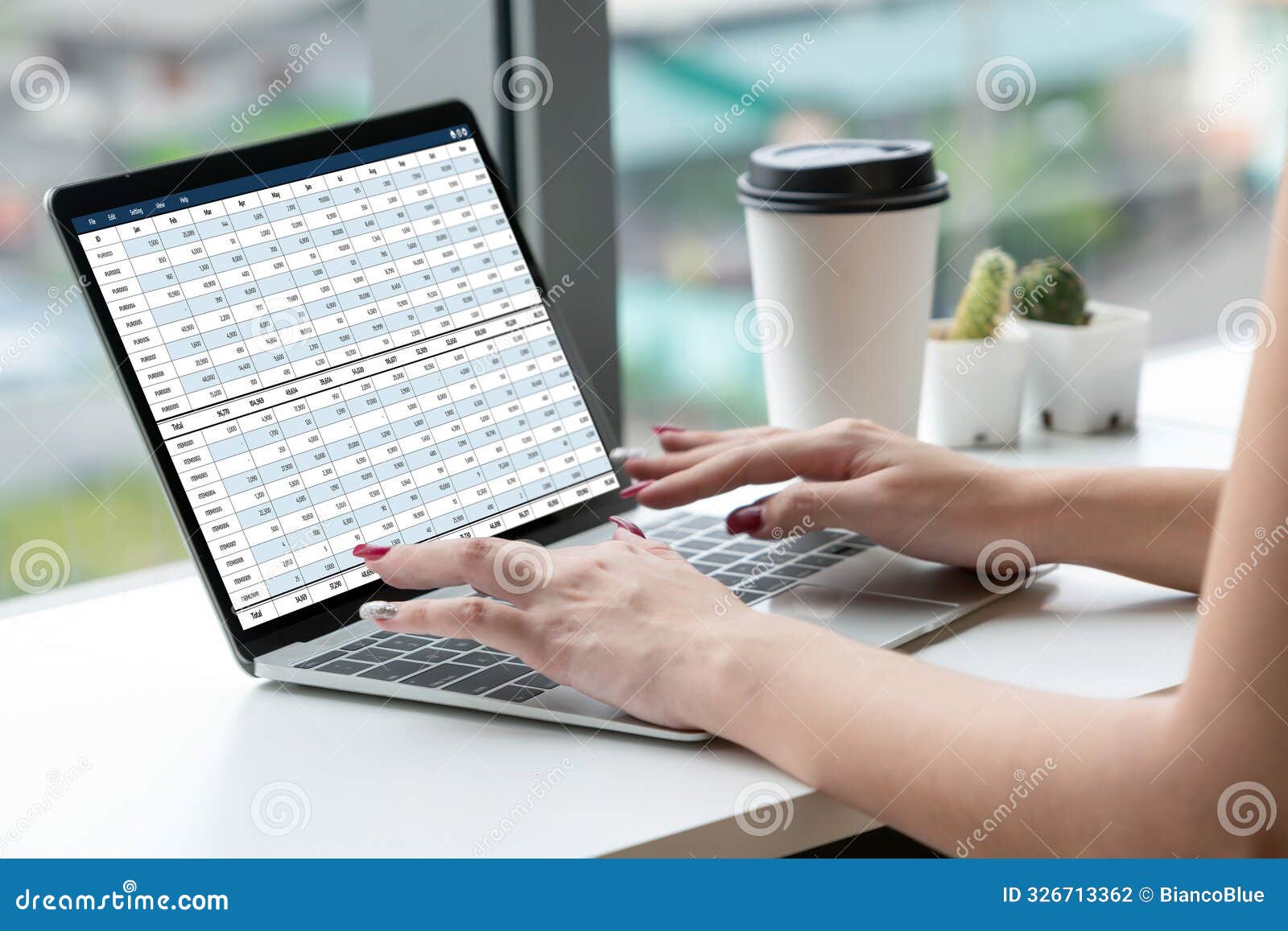 Accounting Software on Computer Screen Showing Financial Statement ...