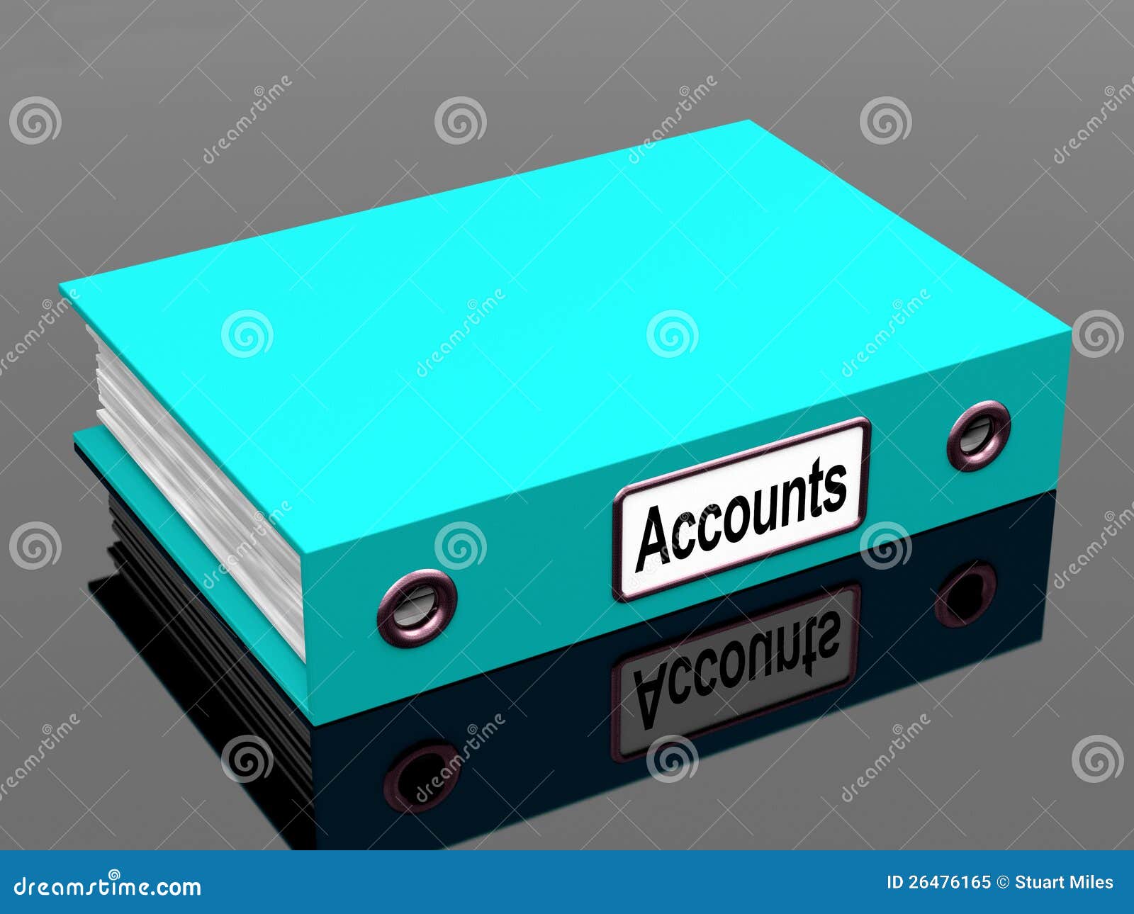 Accounts File Shows Accounting Profit and Expenses Stock Illustration ...