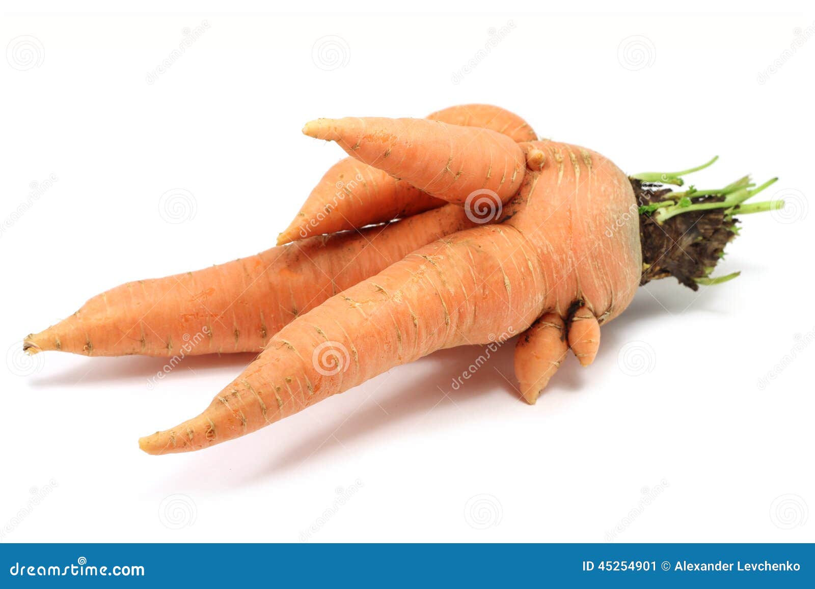 Accrete large carrots stock image. Image of healthy, vegetables - 45254901