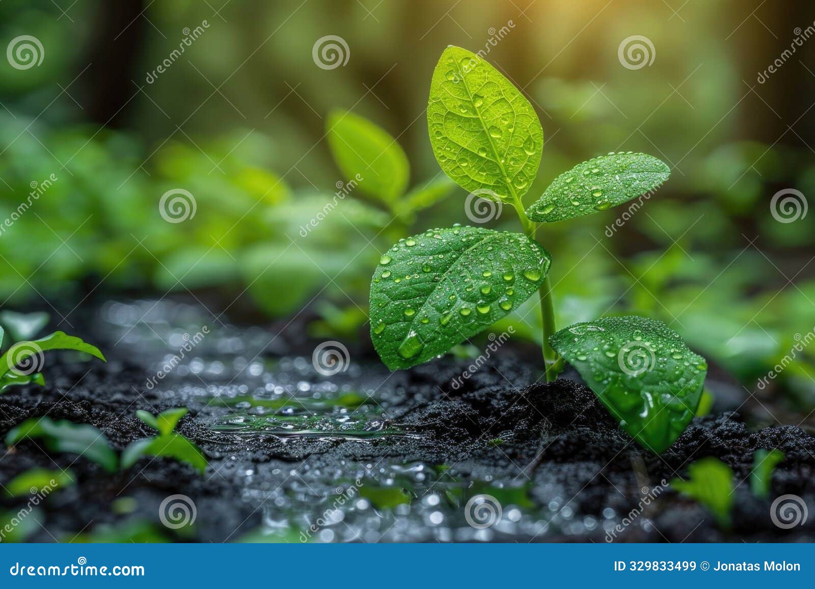 Accurate Carbon Footprint Calculations: Precise Measurements for As ...