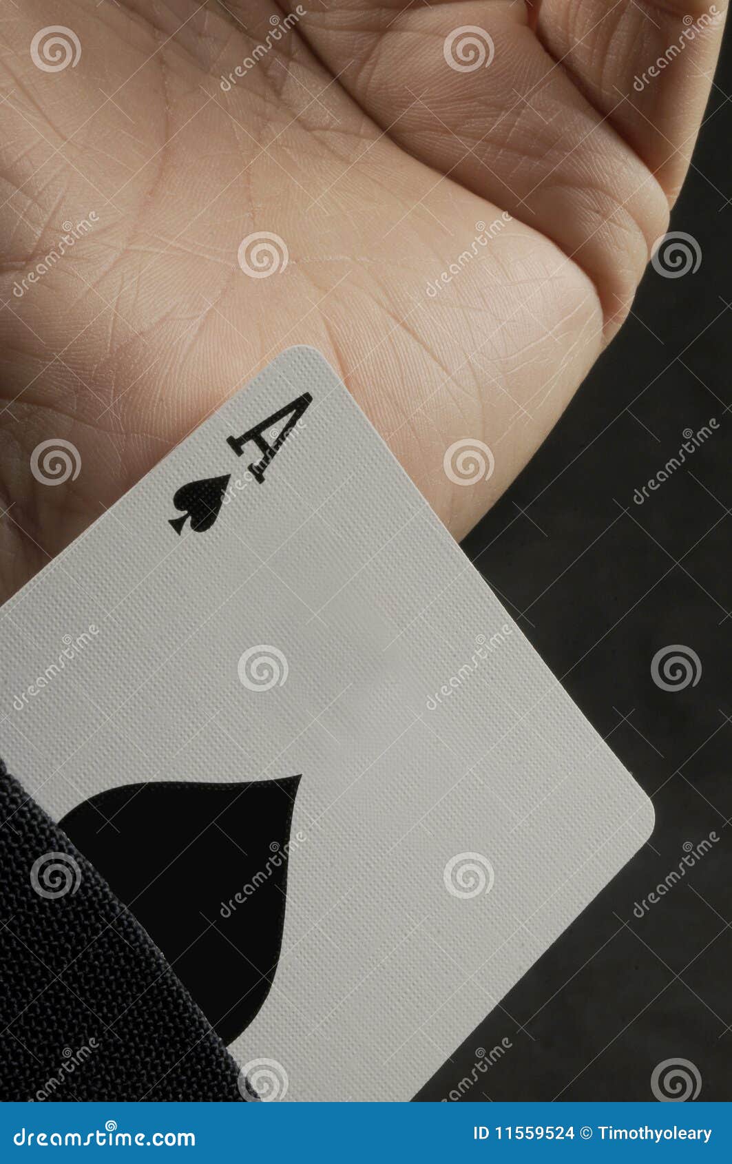 Ace in the Hand stock photo. Image of hand, covert, gamble - 11559524