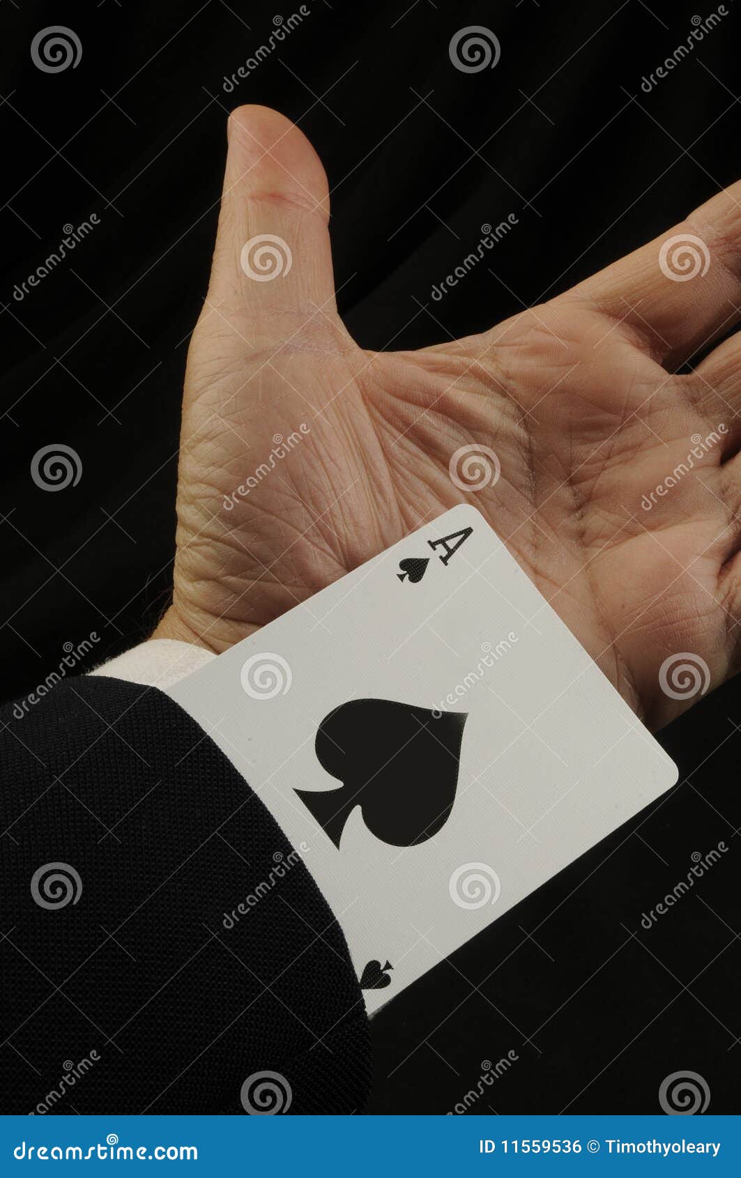 Ace in the Hand stock photo. Image of concealing, hand - 11559536
