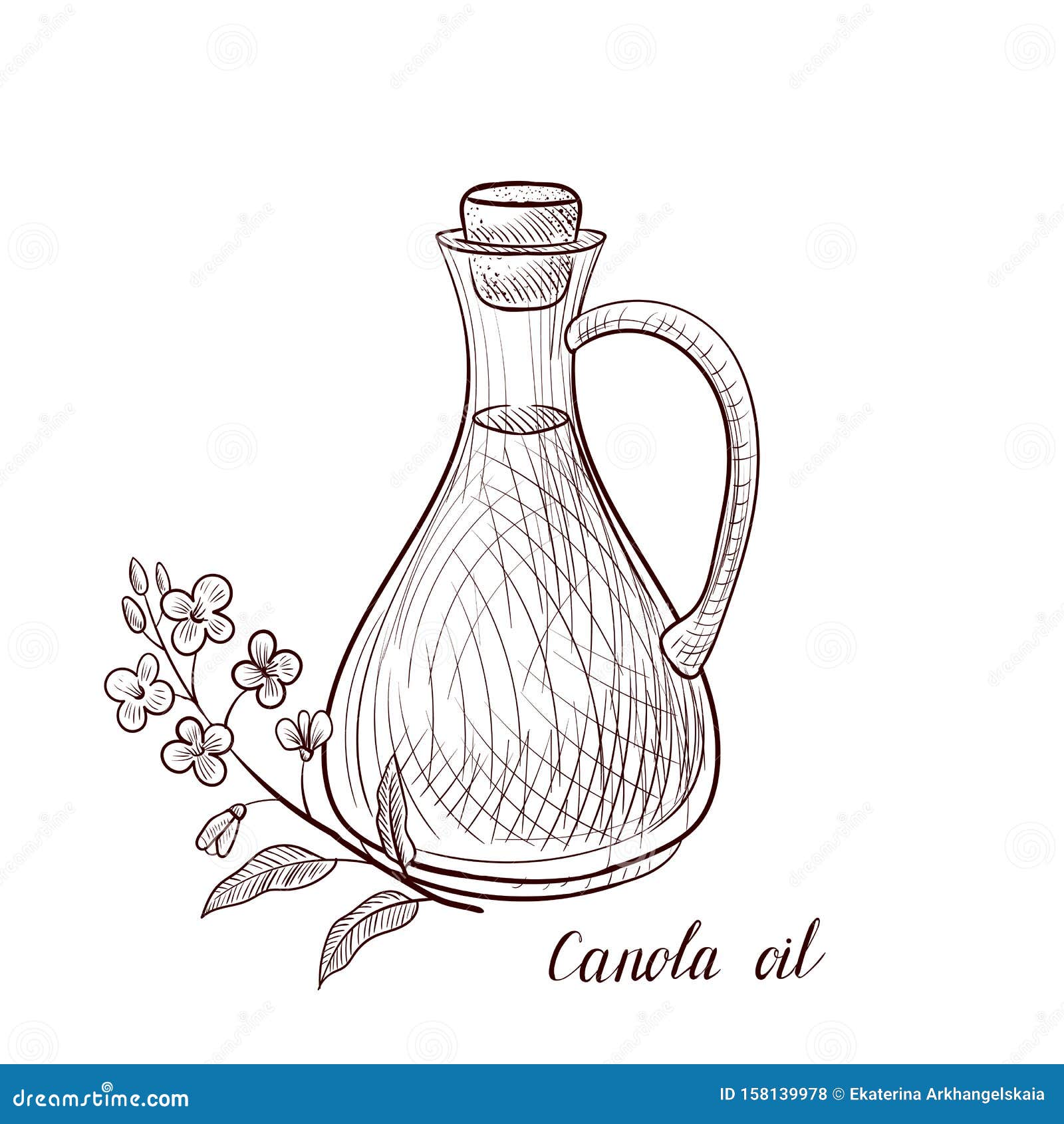 Aceite De Canola De Dibujo Vectorial Ilustración del Vector ...