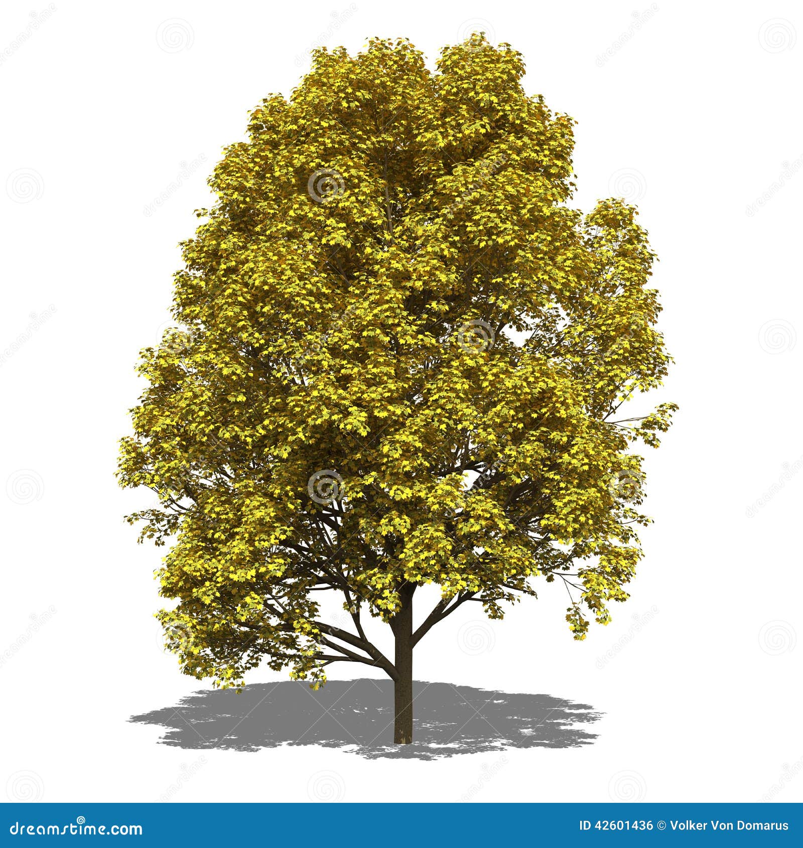 Hadrians Cartoons, Illustrations & Vector Stock Images - 10 Pictures to ...