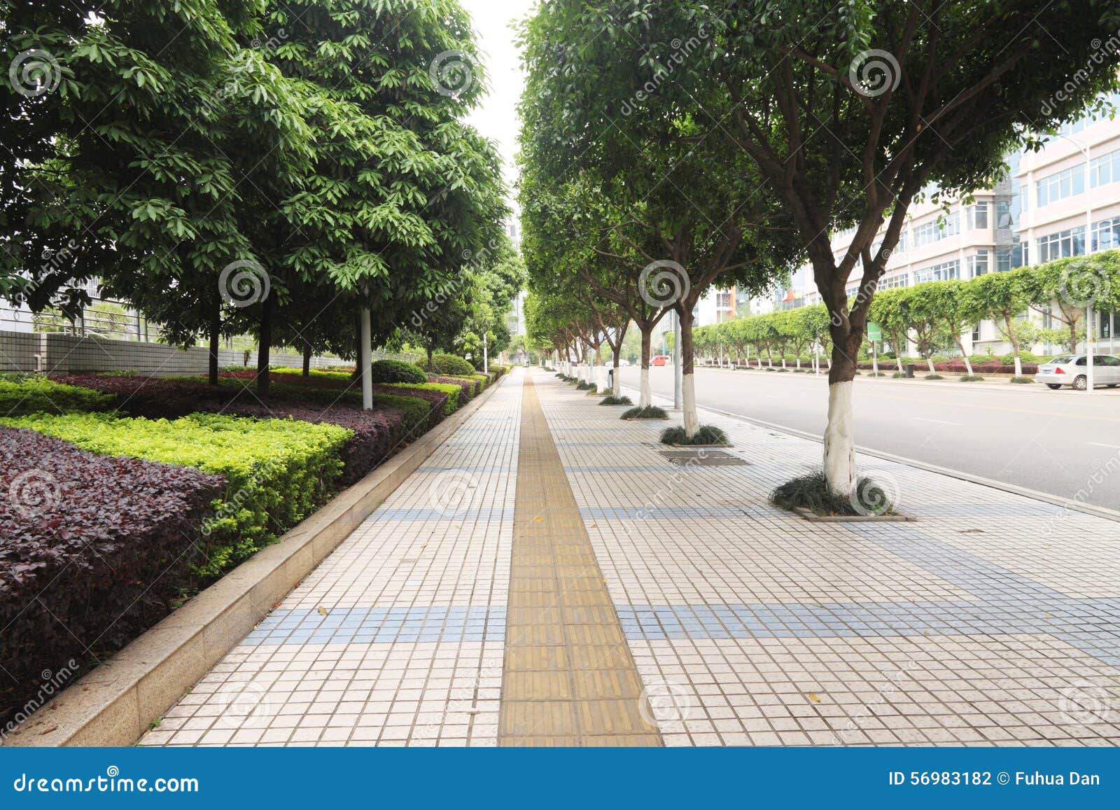 Acera foto de archivo. Imagen de calle, edificio, camino - 56983182