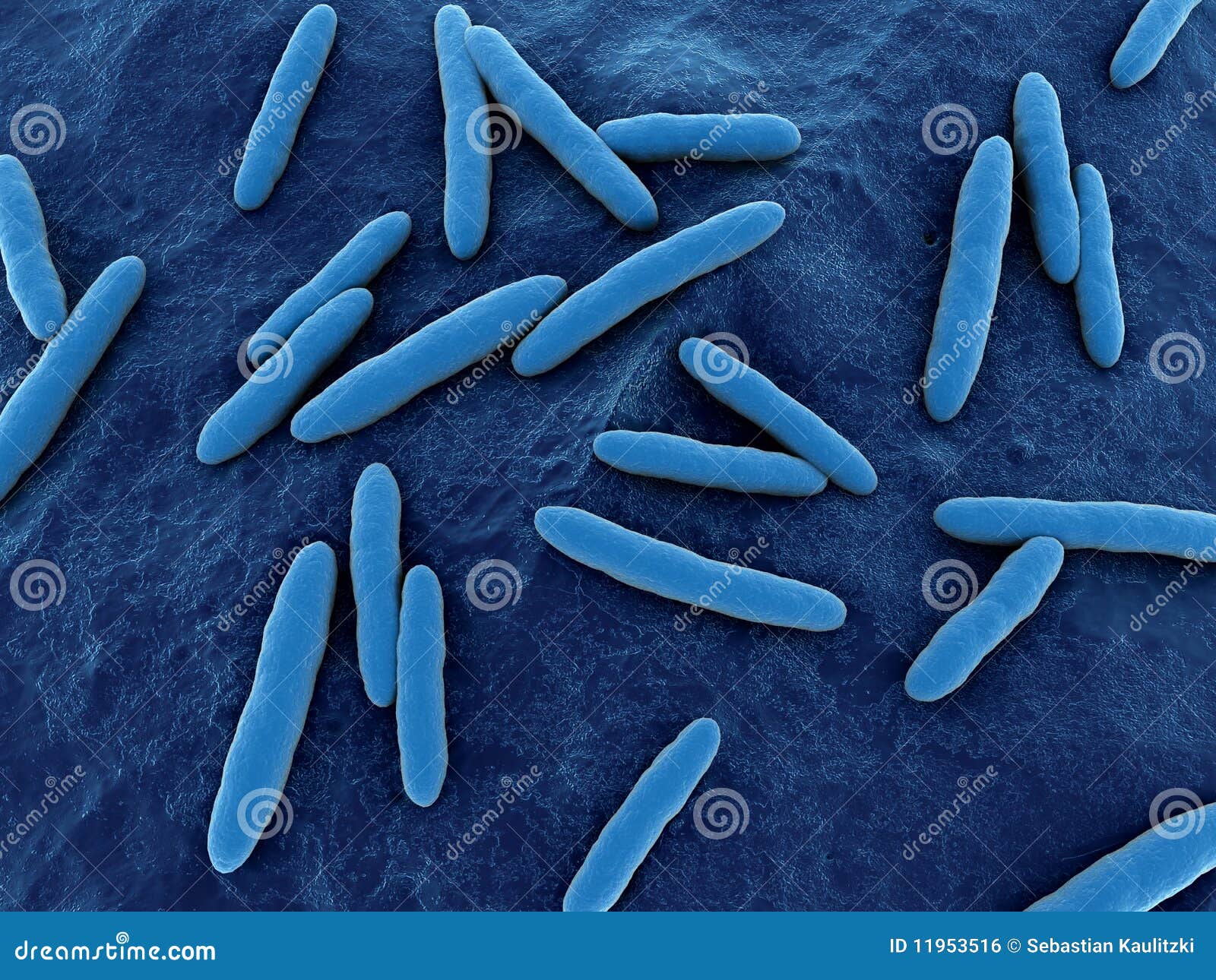 Acetobacter stock illustration. Illustration of maco - 11953516