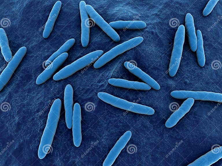 Acetobacter stock illustration. Illustration of maco - 11953516