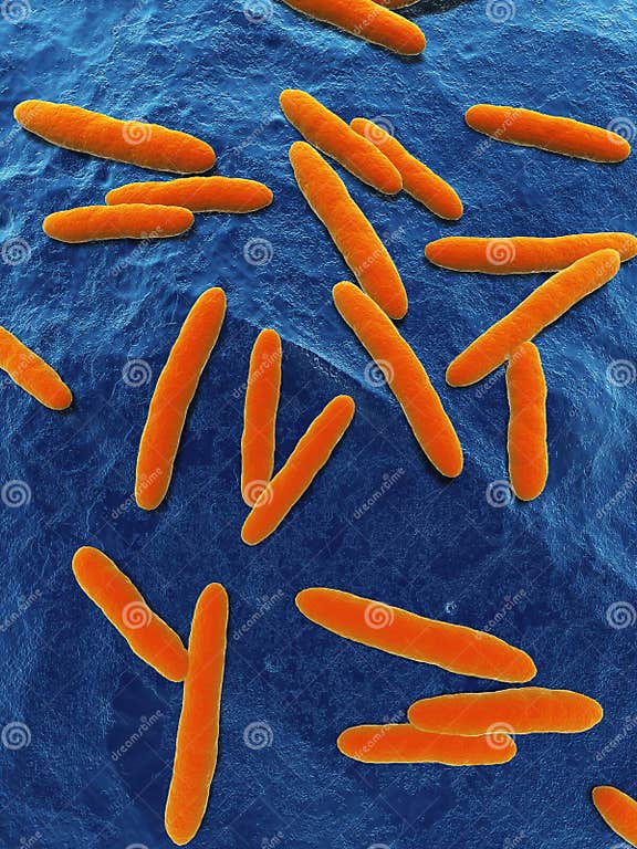 Acetobacter stock illustration. Illustration of biology - 11953546