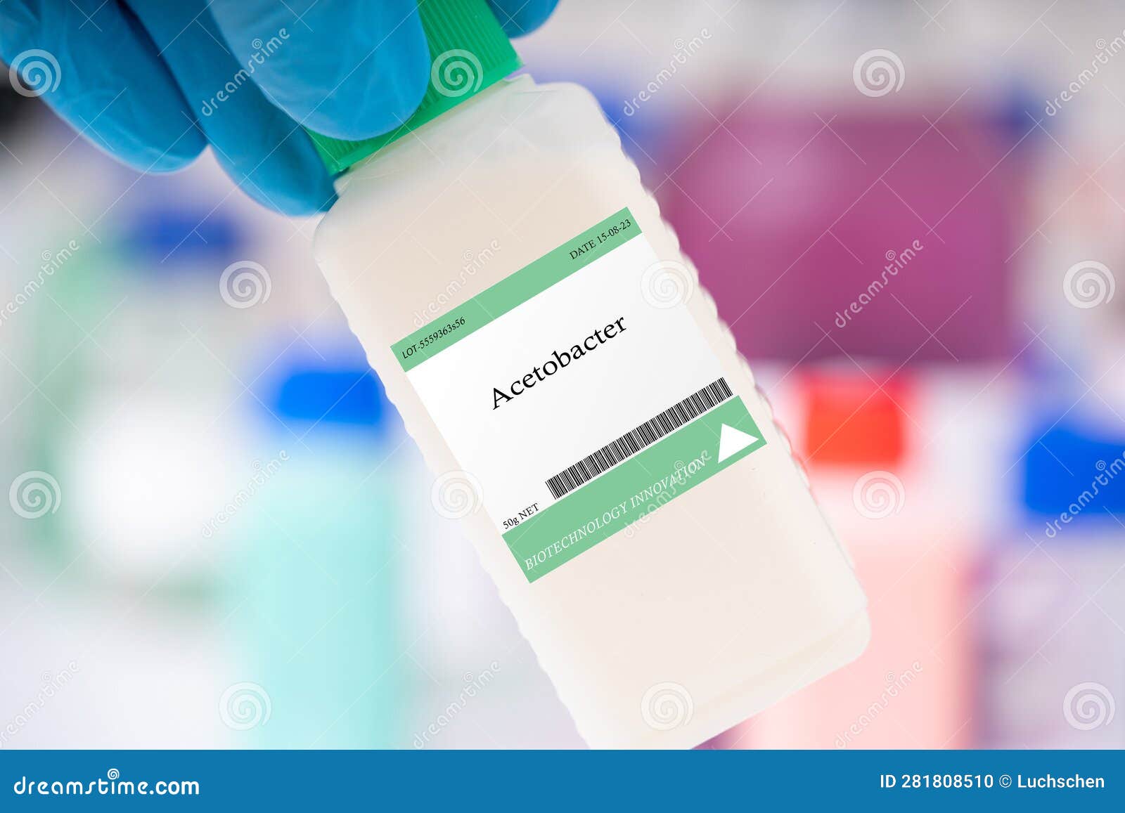 Acetobacter stock photo. Image of acetobacter, agriculture - 281808510