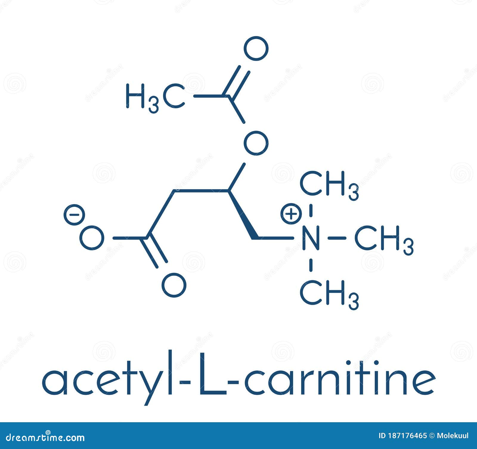 Acetylcarnitine Molecule, Structural Chemical Formula, Ball-and-stick ...