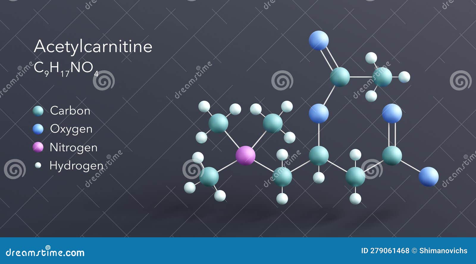 Acetylcarnitine Molecule 3d Rendering Flat Molecular Structure With