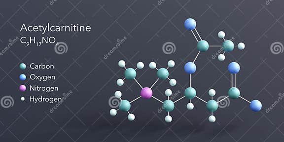 Acetylcarnitine Molecule 3d Rendering, Flat Molecular Structure with ...