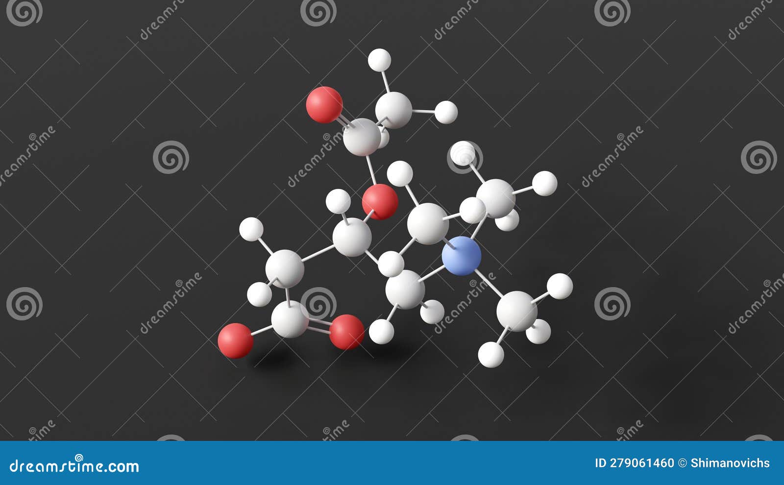 Acetylcarnitine Molecule, Molecular Structure, Acetyl-l-carnitine, Ball ...