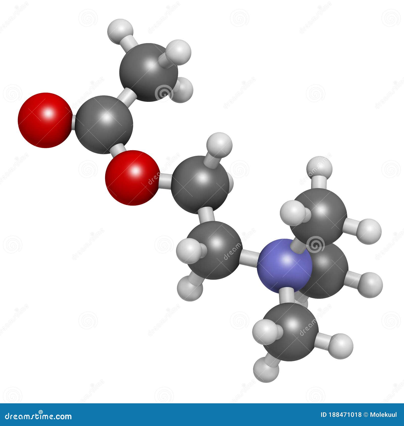 Acetylchloline (ACh) Neurotransmitter Molecule. Atoms are Represented ...