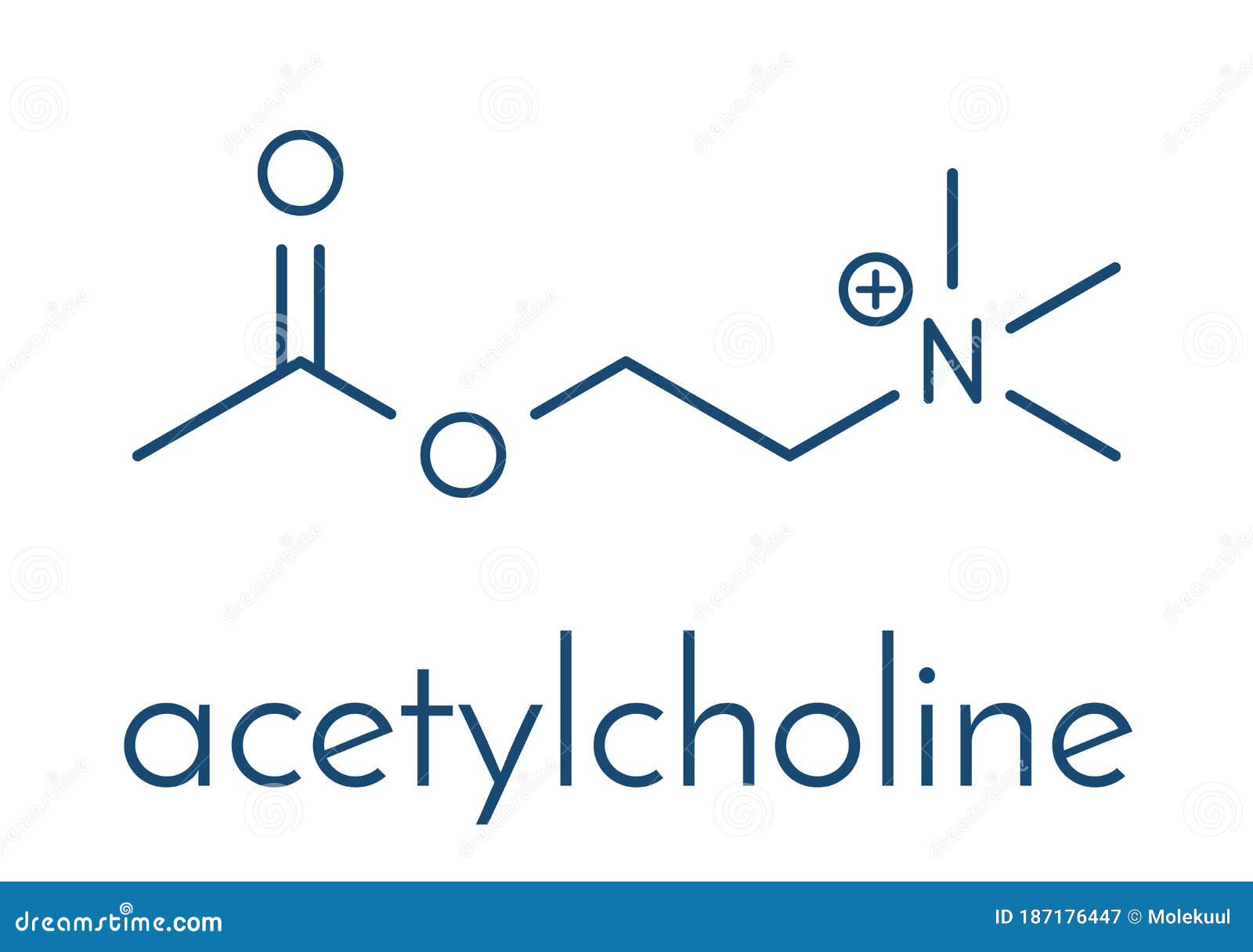 Acetylchloline ACh Neurotransmitter Molecule. Skeletal Formula. Stock ...