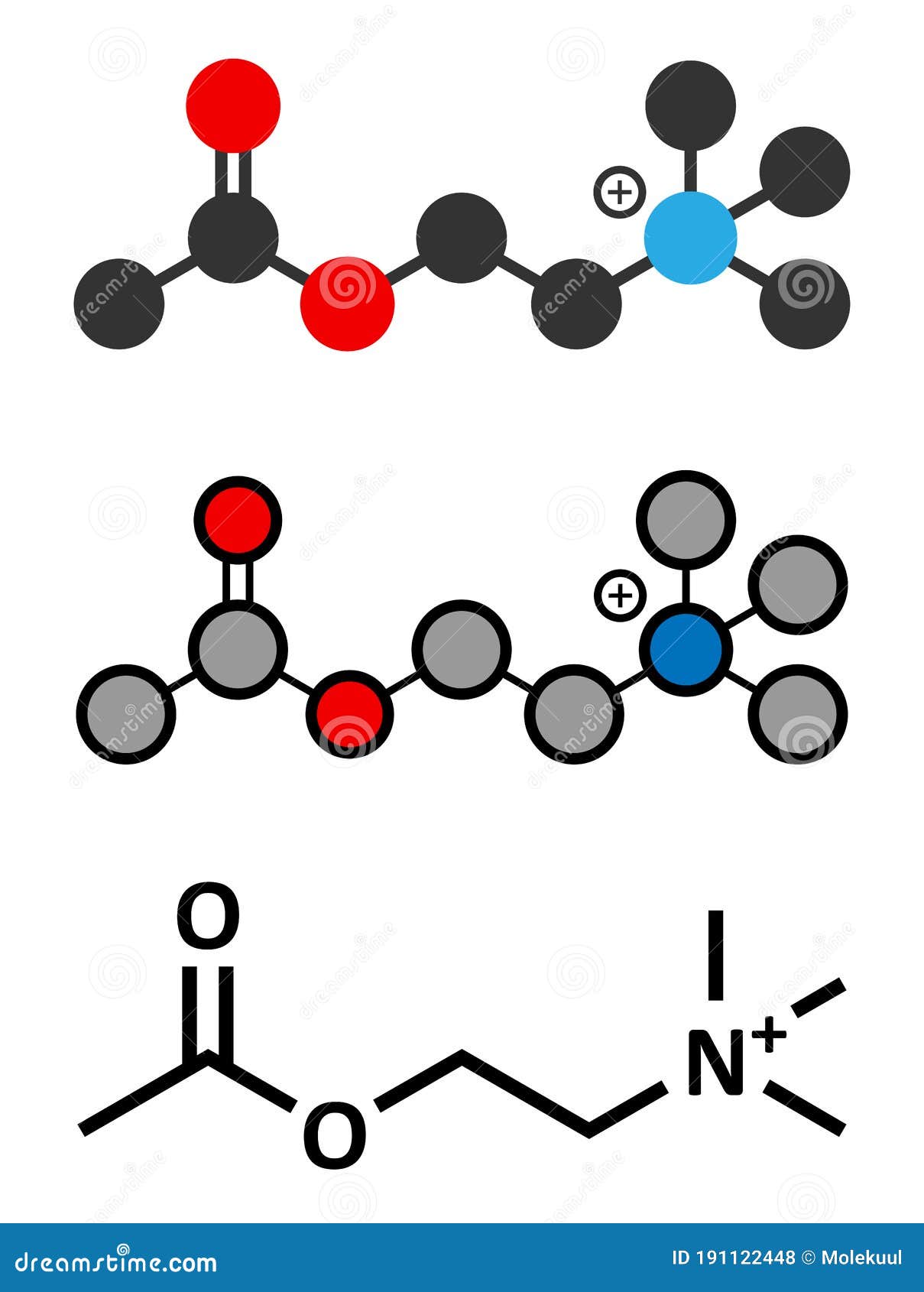 Acetylchloline (ACh) Neurotransmitter Molecule Stock Vector ...