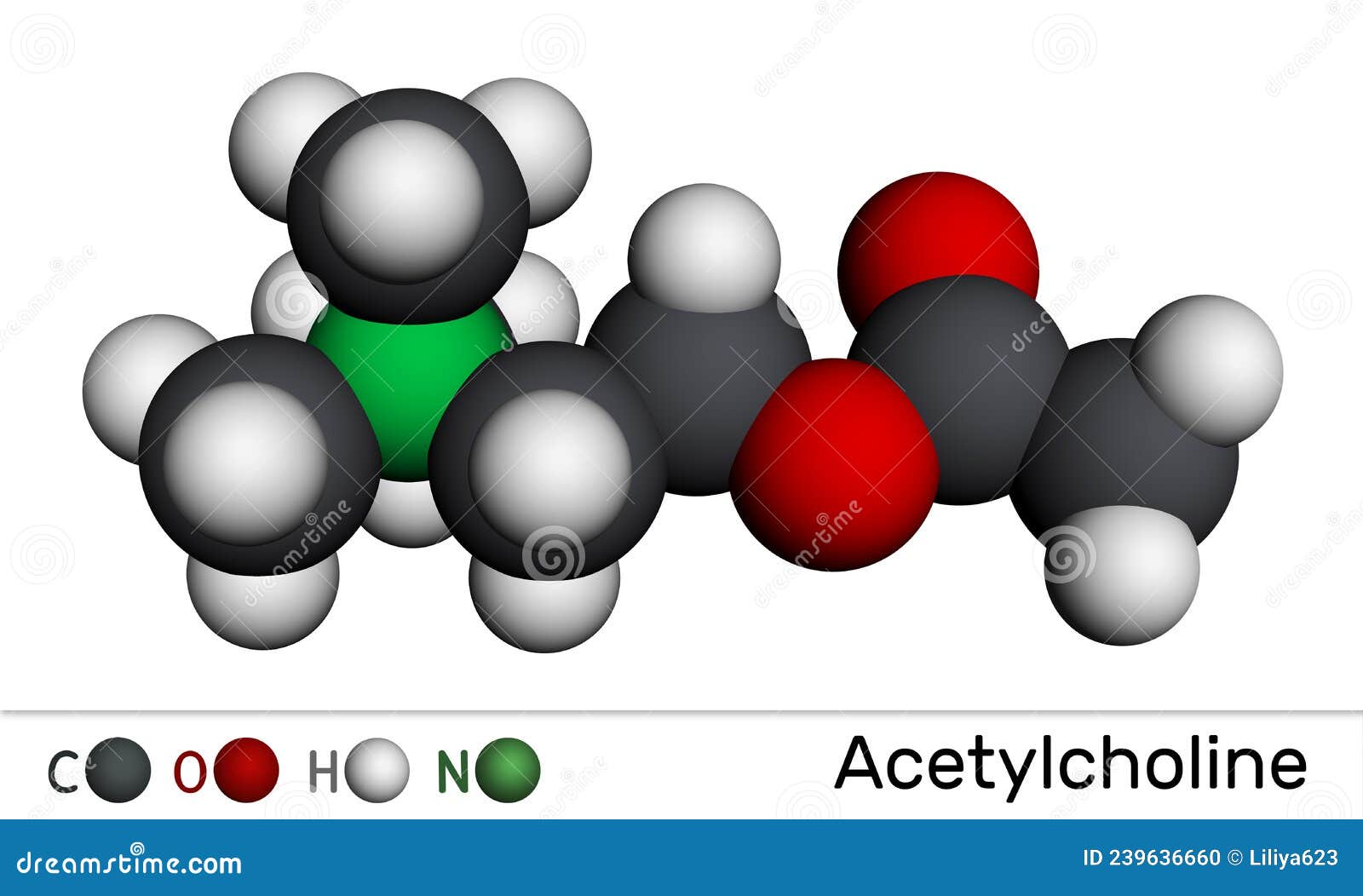 Acetylcholine Molecule, Structural Chemical Formula, Ball-and-stick ...