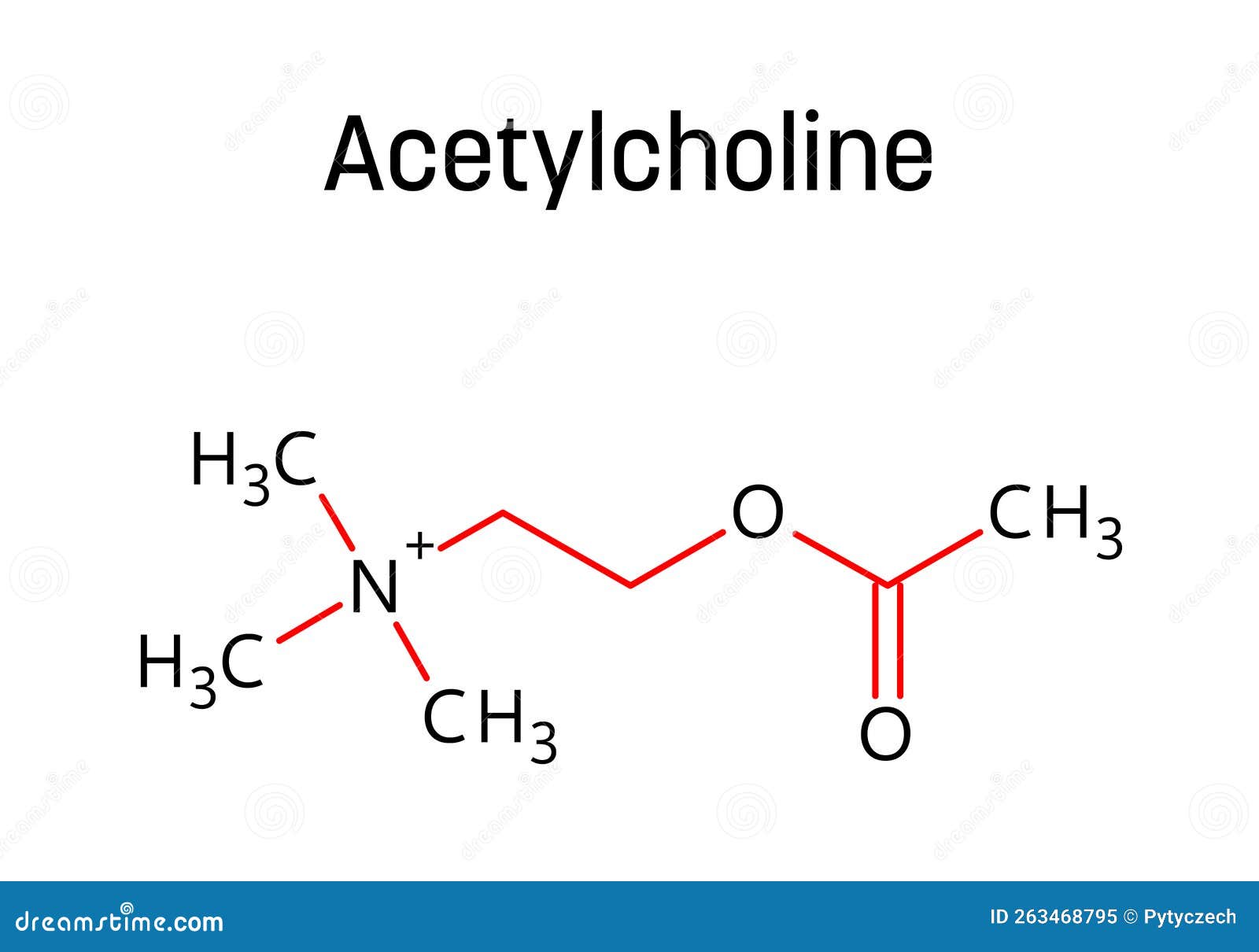 Acetylcholinesterase Chemical Structure