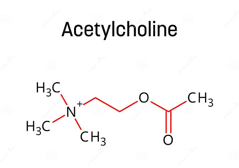 Acetylcholine Structural Formula of Molecular Structure Stock ...