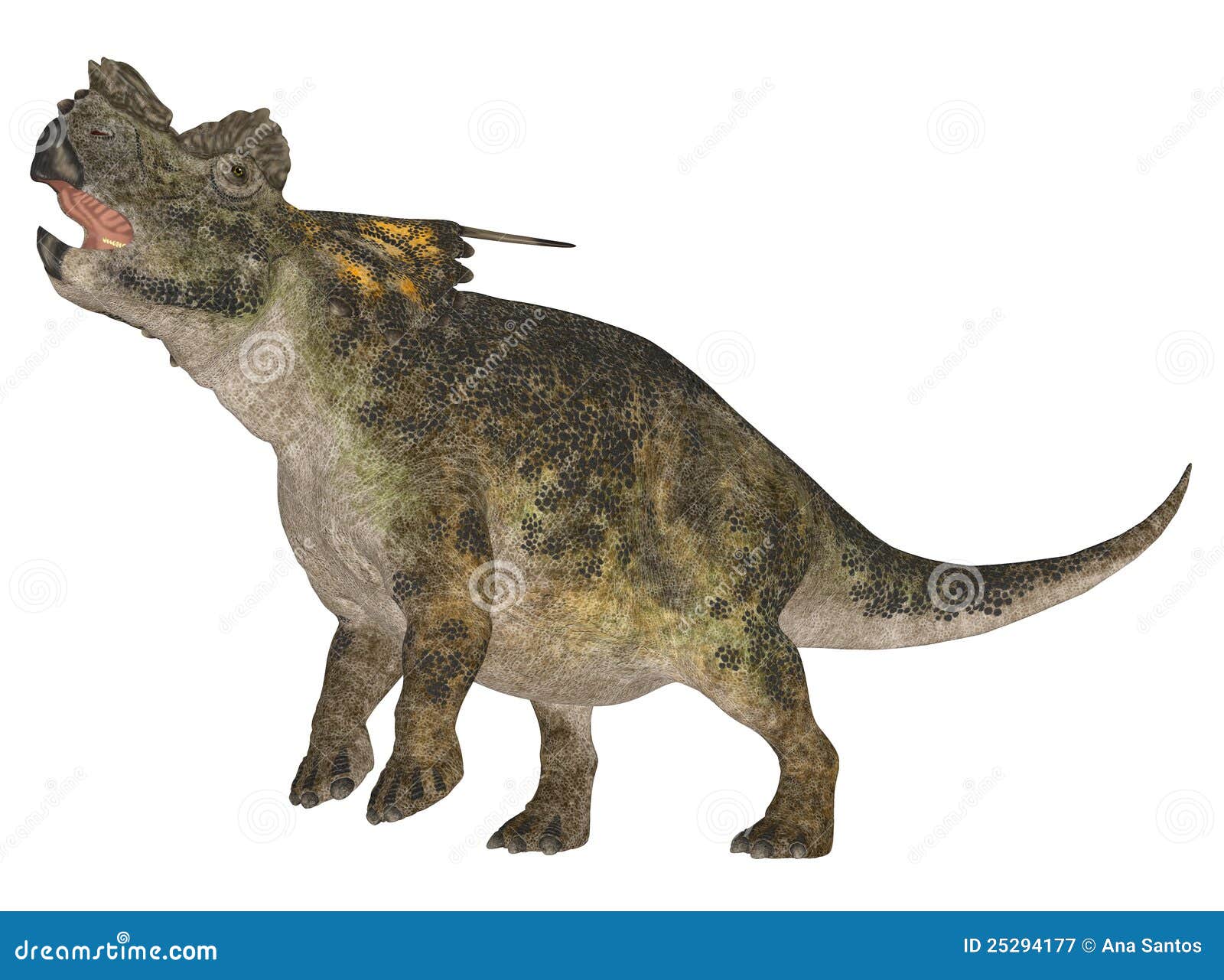 Achelousaurus stock illustration. Illustration of cretaceous - 25294177