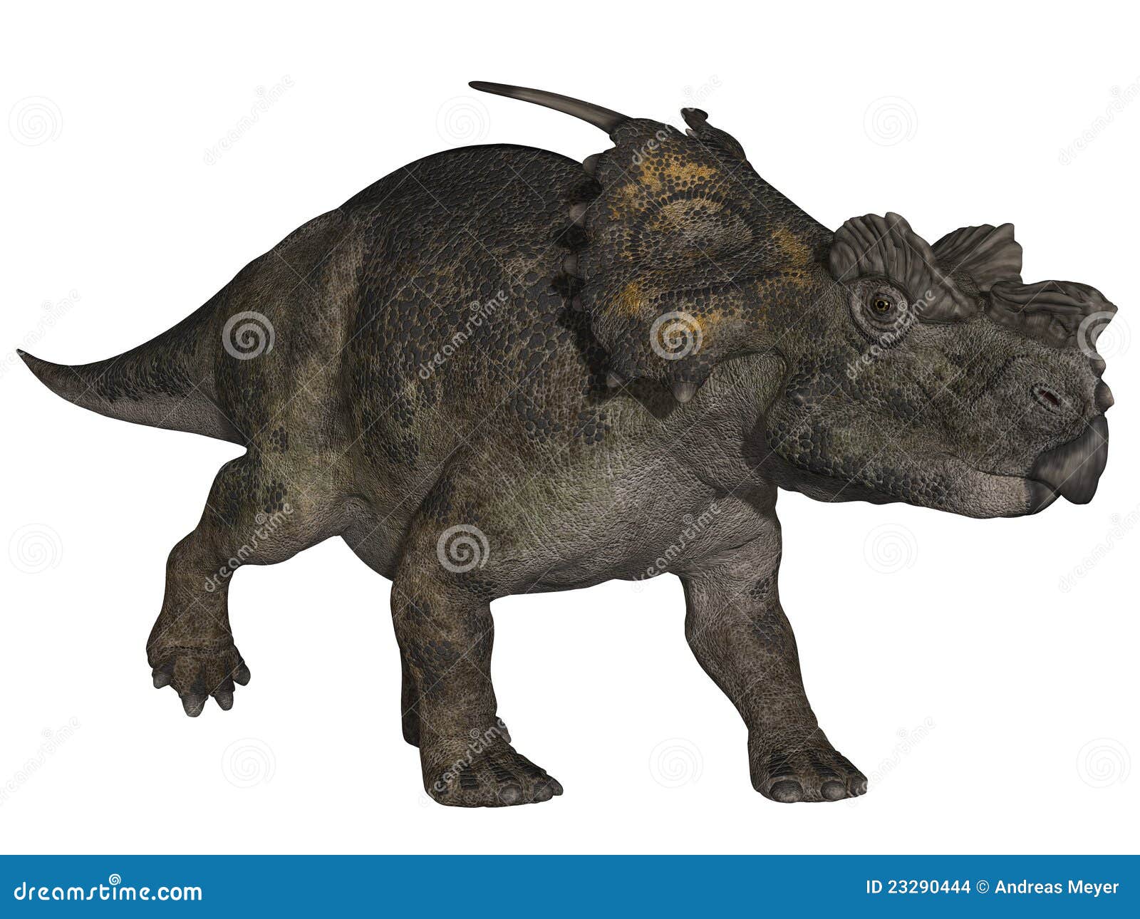 Achelousaurus - 3D Dinosaur Stock Illustration - Illustration of ...
