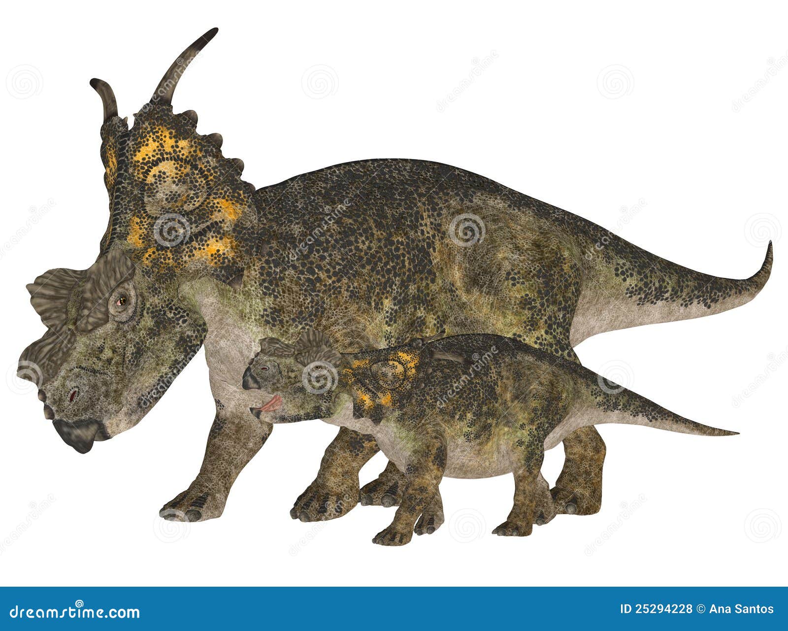 Achelousaurus Adulto Y Joven Stock de ilustración - Ilustración de ...