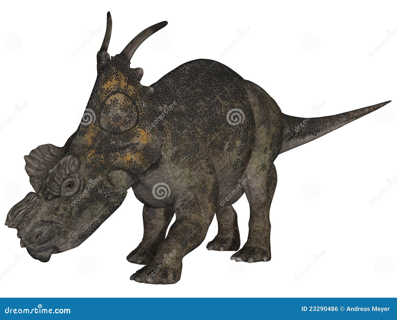 Achelousaurus - Dinosaur 3D Illustration Stock - Illustration du animal ...