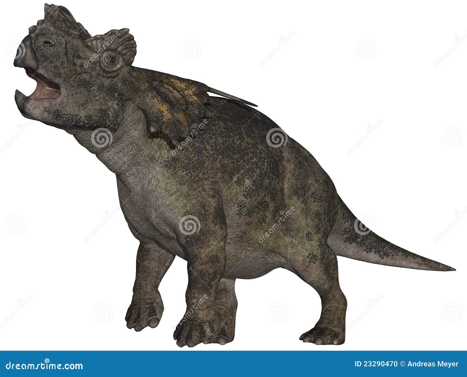 Achelousaurus - Dinosaurio 3D Stock de ilustración - Ilustración de ...