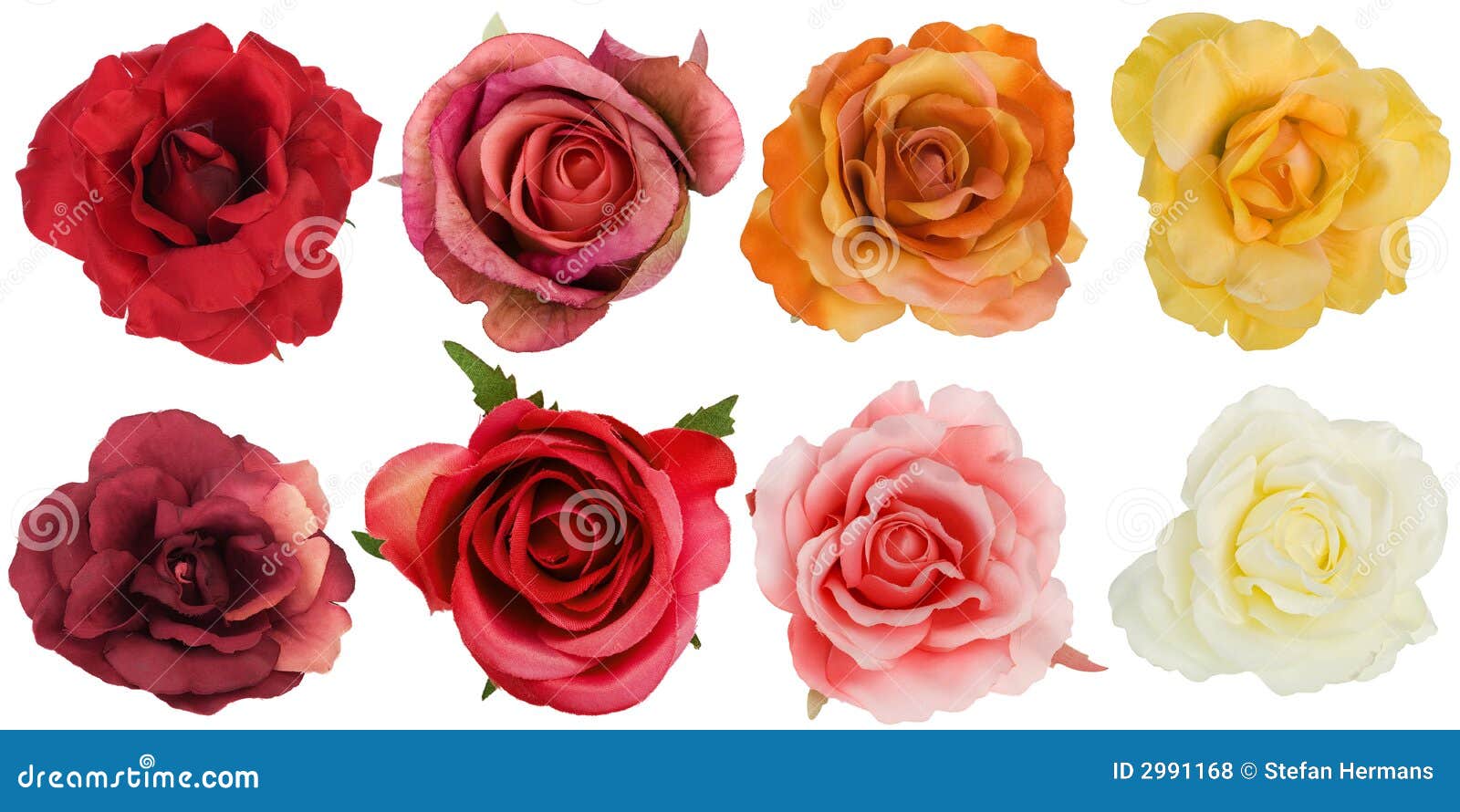 Acht Rosen Gesehen Von Oben Stockfoto - Bild von schönheit, blume: 2991168