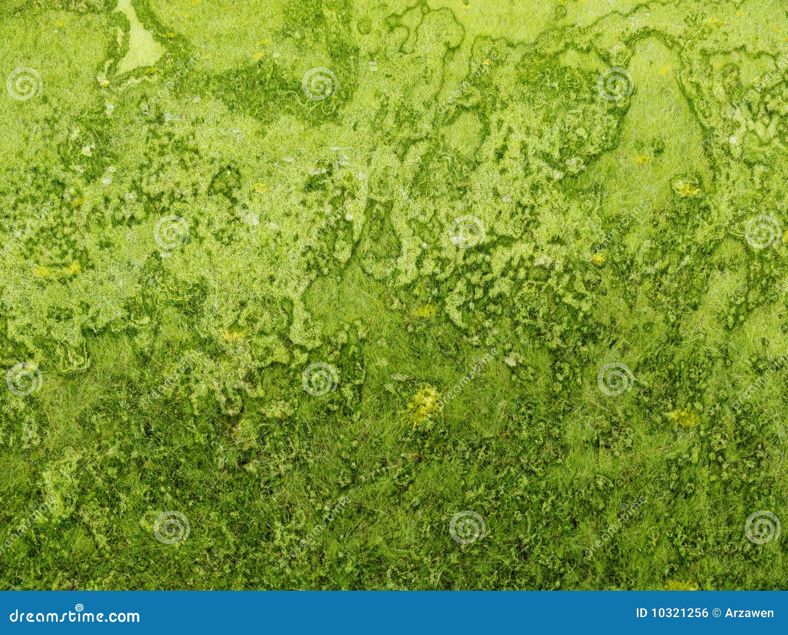 Achtergrond Groen Textuur Ruw Gras Stock Foto - Image of materiaal ...
