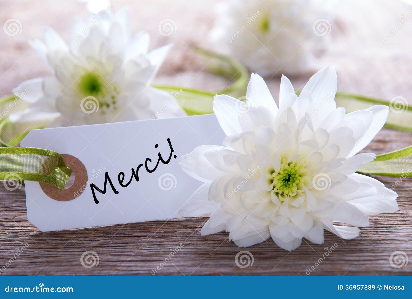 Achtergrond met Merci stock afbeelding. Image of taal - 36957889